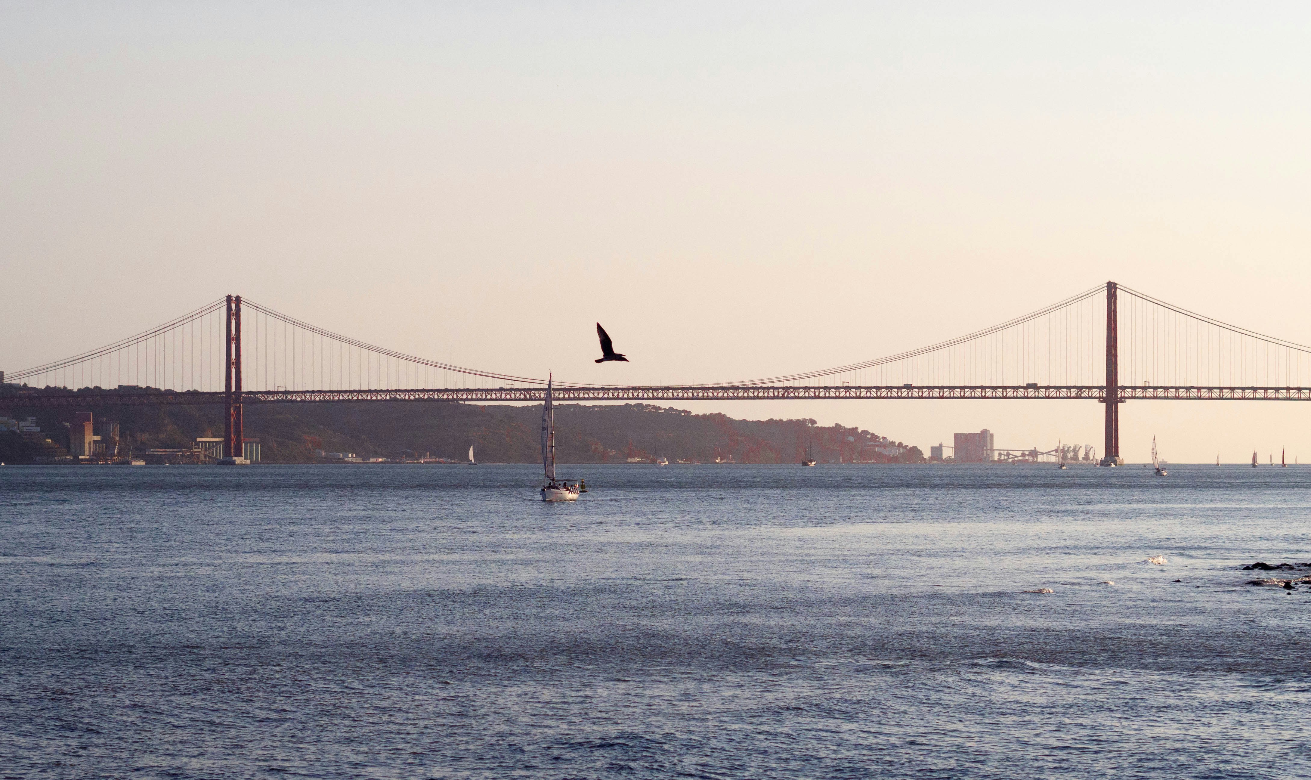 Sailboat gliding across the calm waters of the Tagus River, framed by the iconic bridge in the background during twilight.