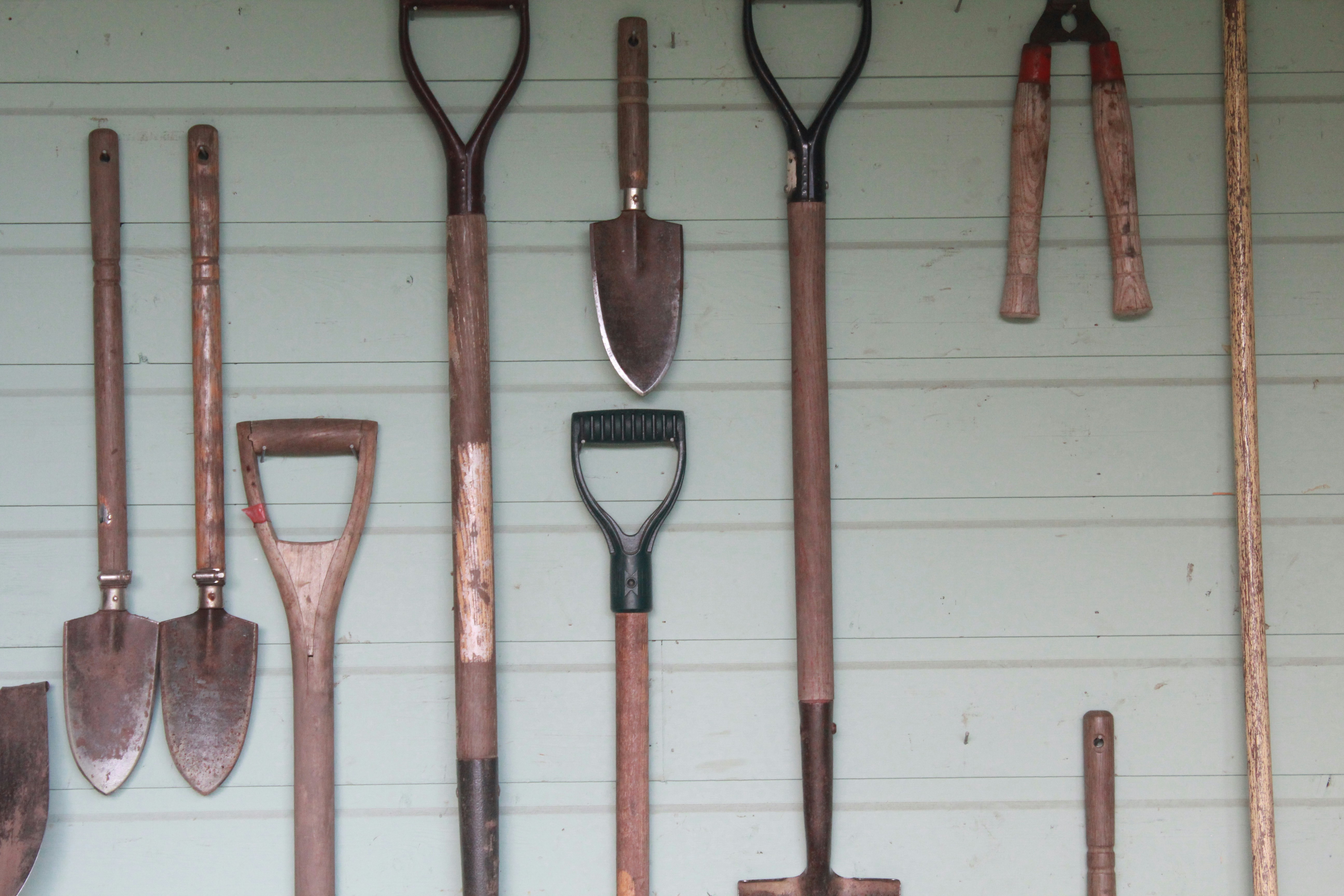 Geneviève Tremblay (@g_e_n) | Unsplash Photo Community