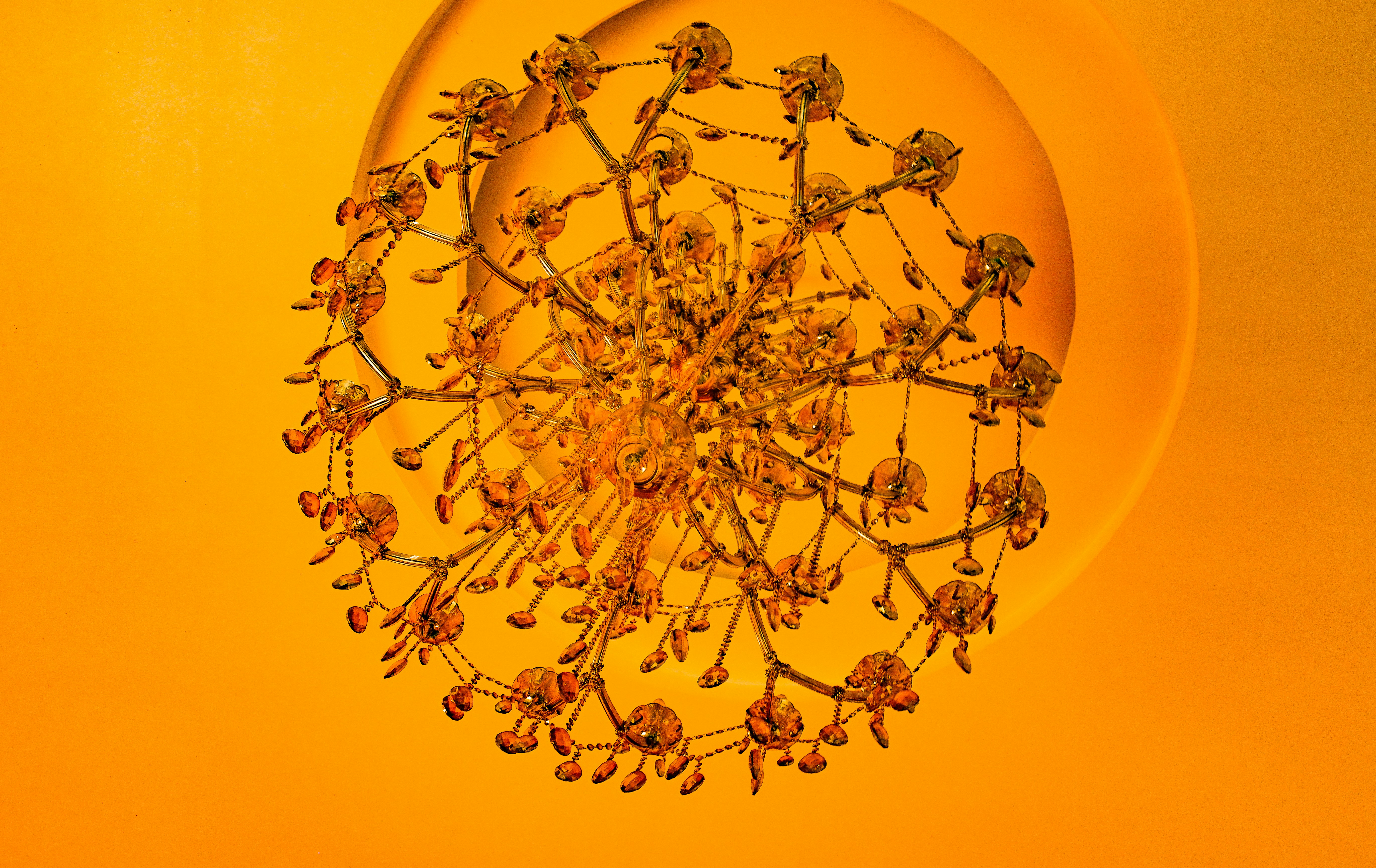 Amber Orb Portrait: A Macro Study of a Seed Ball within a Circular Glow