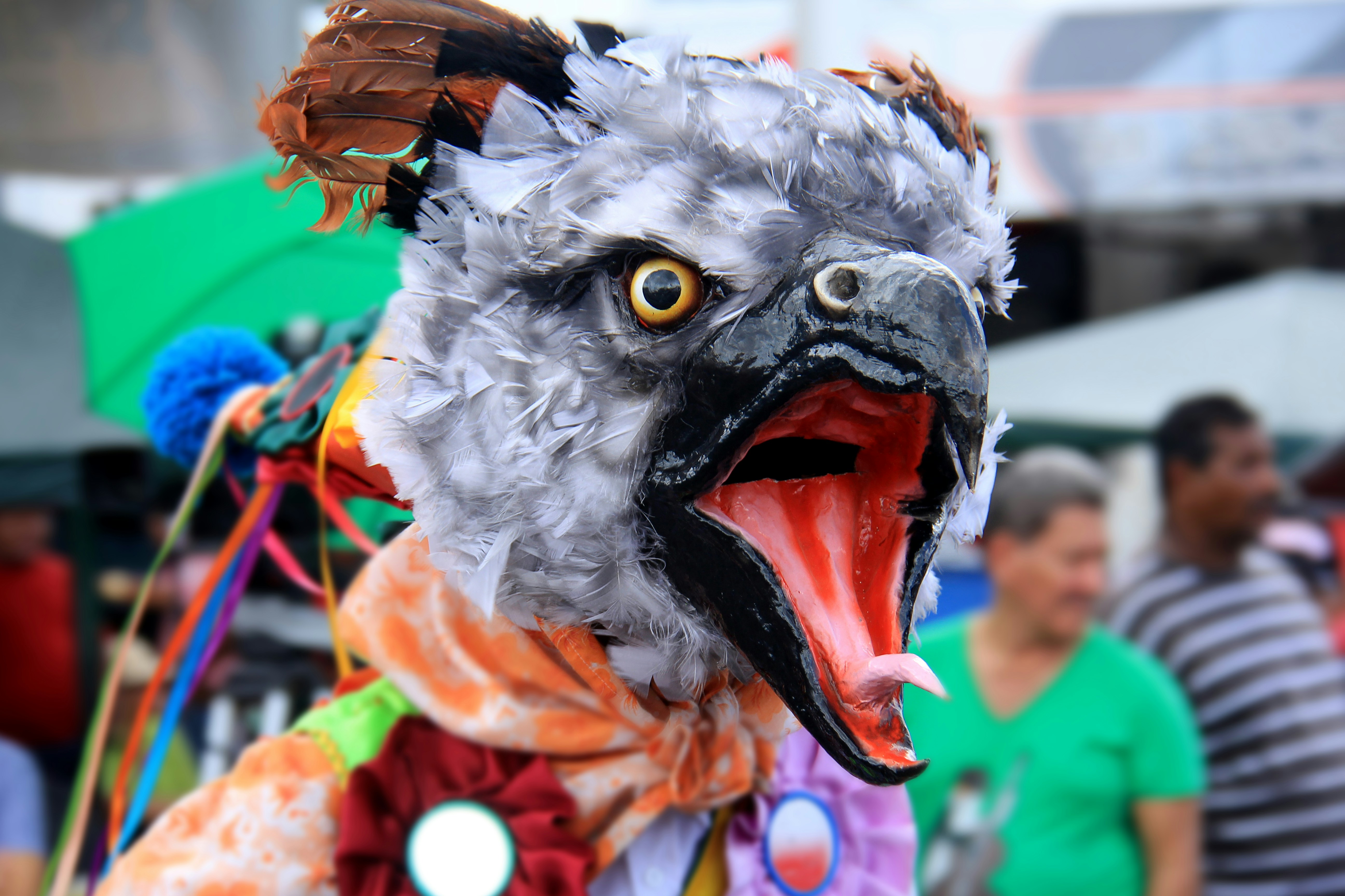Fiesta of Feathers: Screaming Parrot Mask in the Crowd