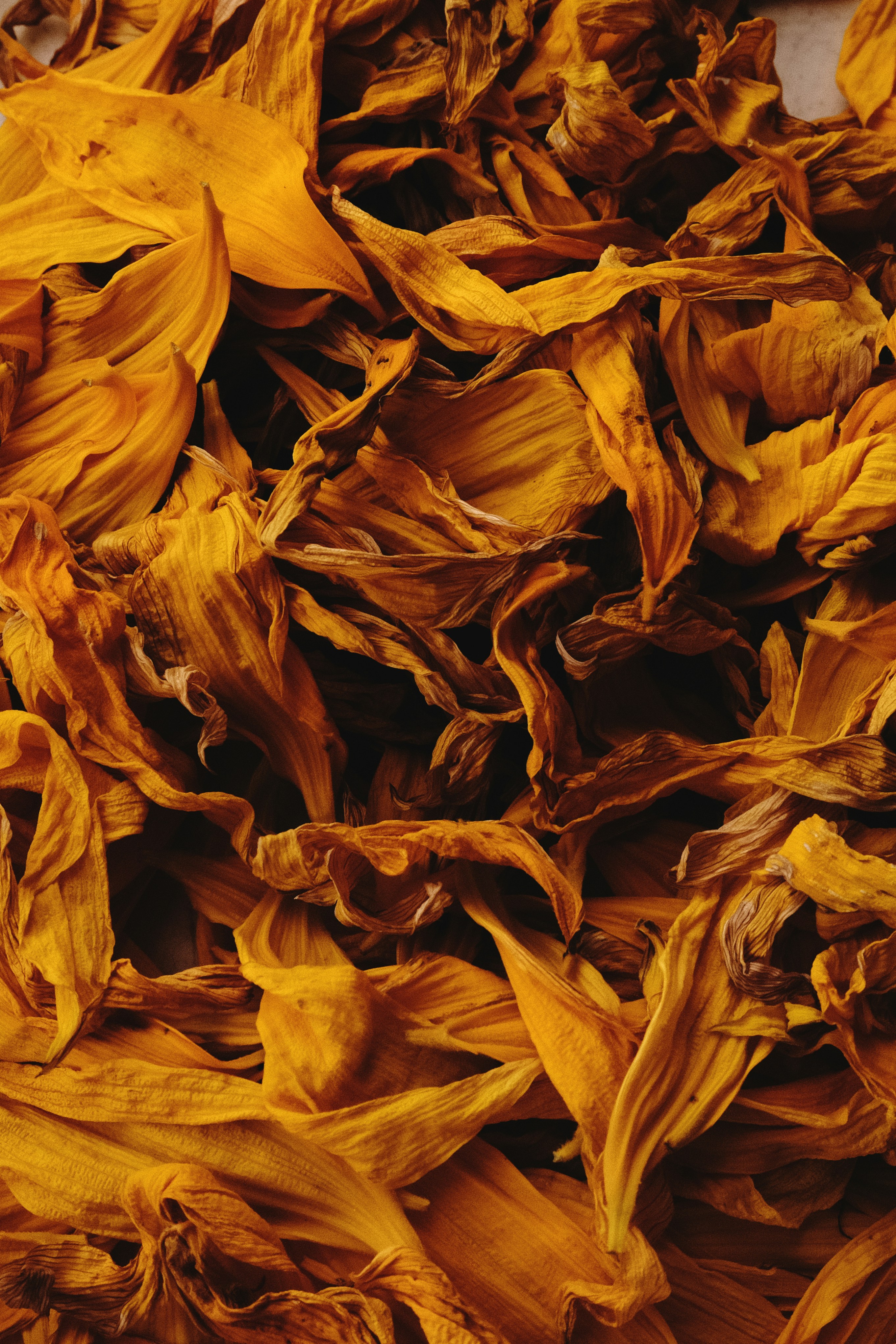 Autumnal Cascades: A Sea of Dried Petals in Warm Amber