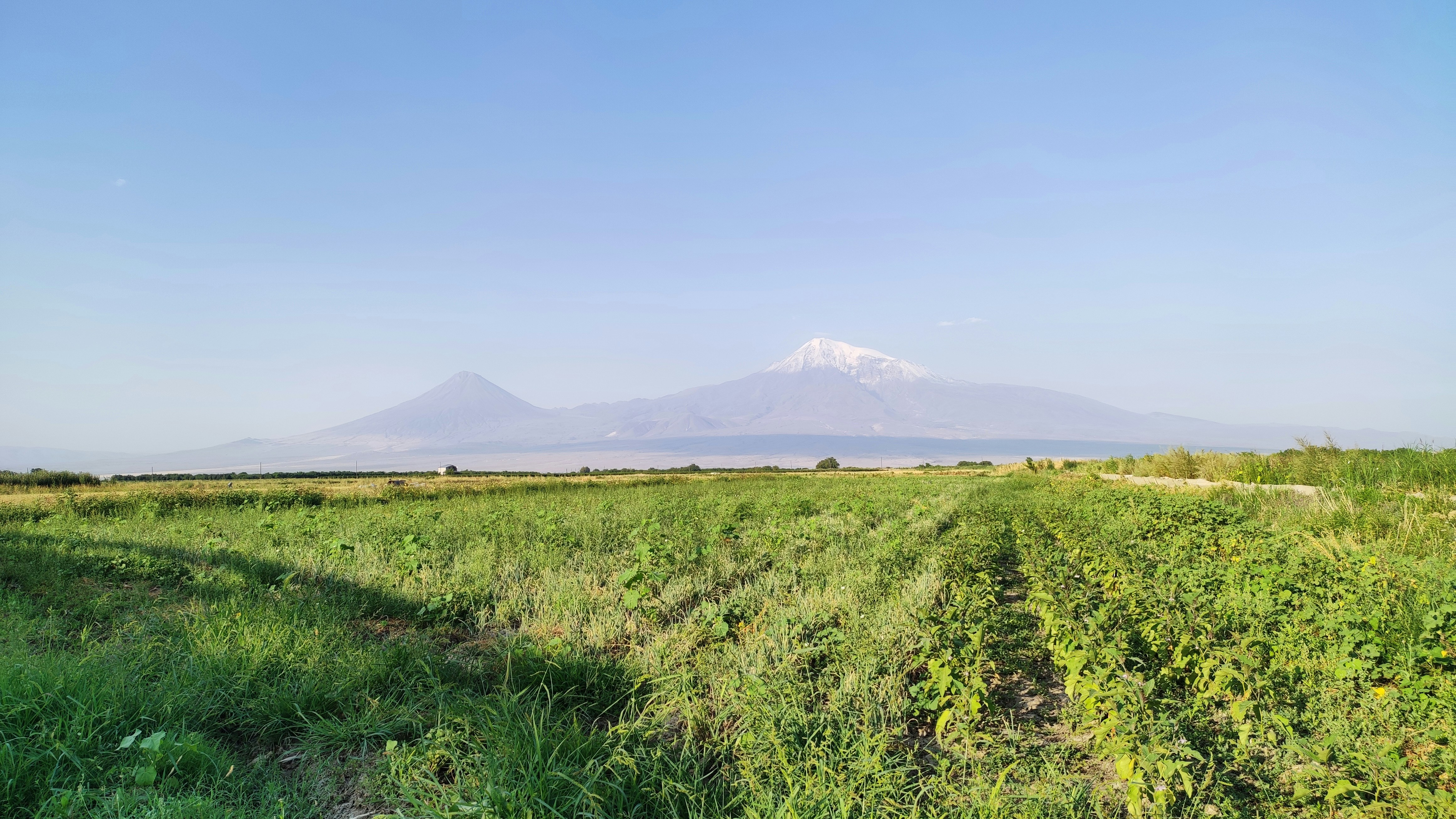 Wide landscape photograph of fertile green fields extending toward snow-capped mountains beneath a clear blue sky.