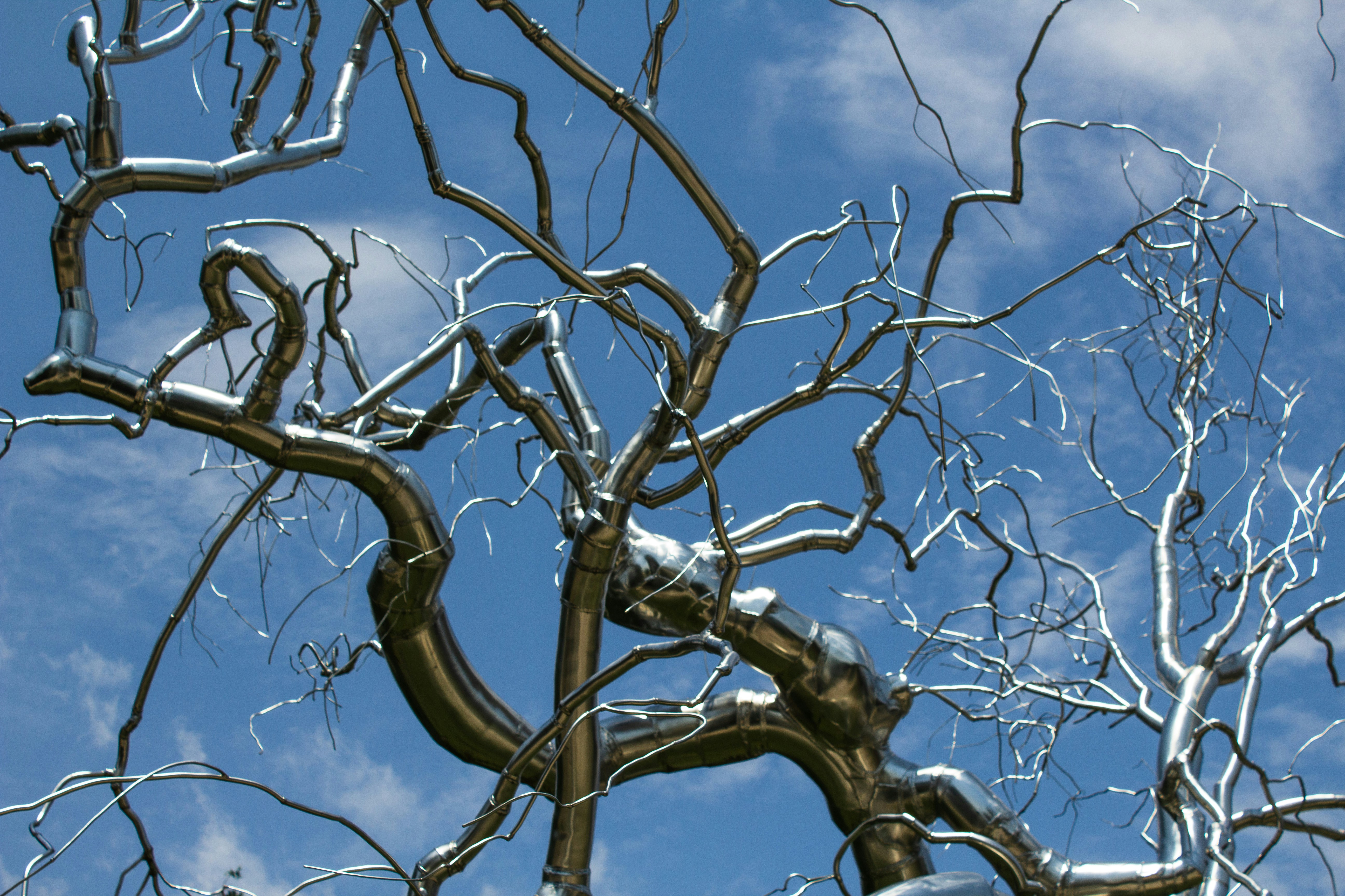 Intricate silver branches intertwine against a bright blue sky, showcasing nature's artistry in a unique form. The composition highlights the delicate structure and complexity of the branches.