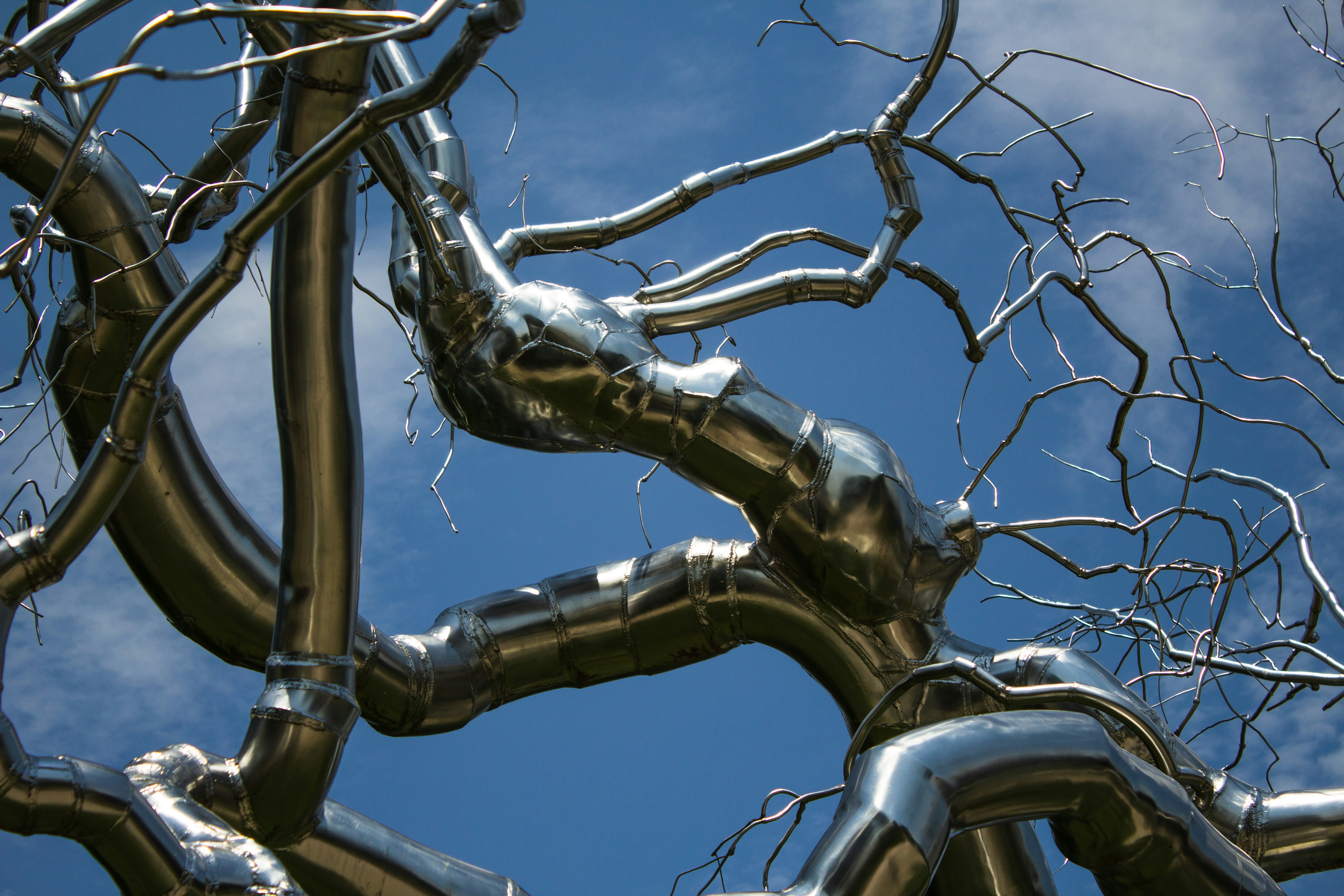 Chrome Pictures | Download Free Images on Unsplash