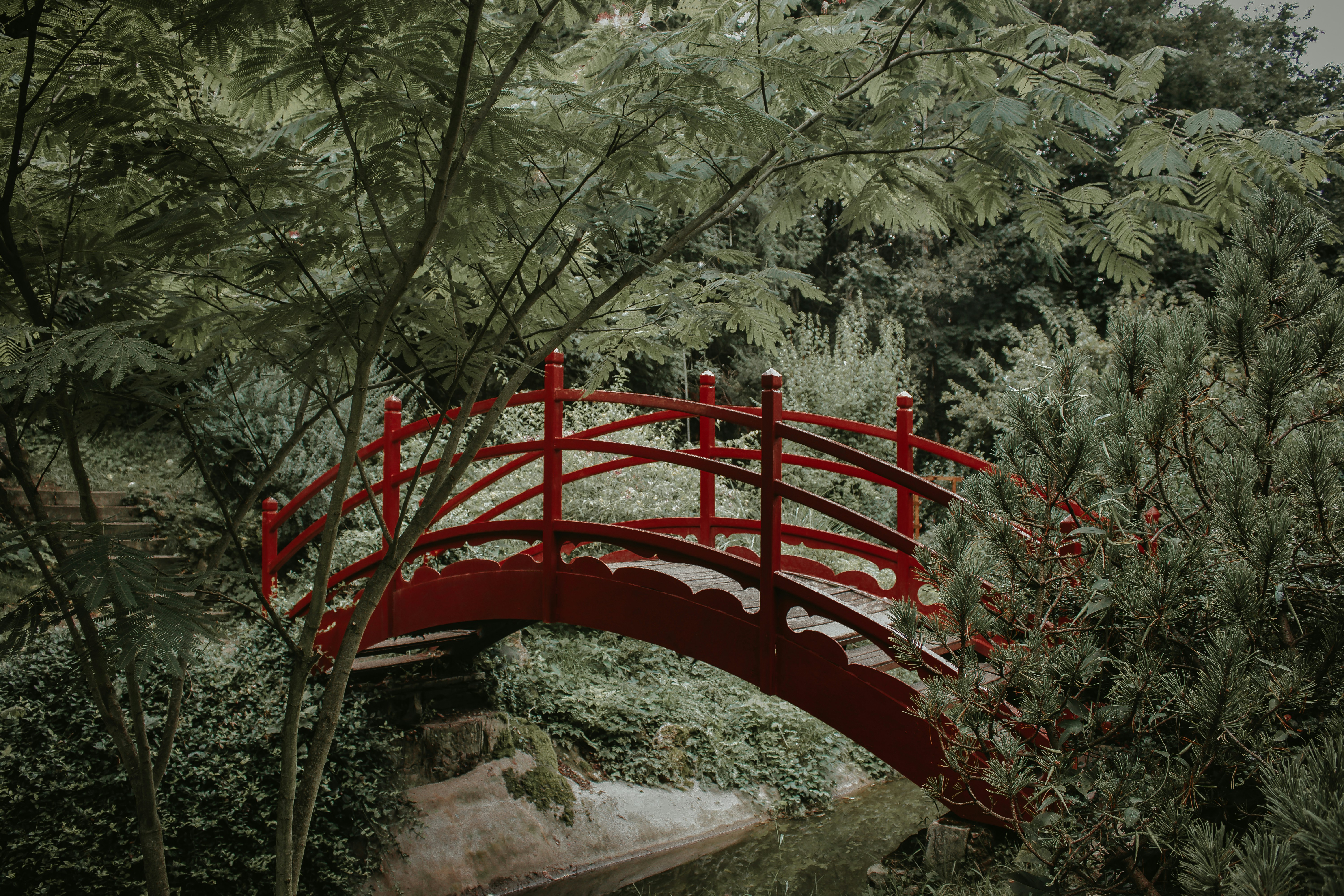 Whispering Serenity: Red Bridge in Lush Greenery
