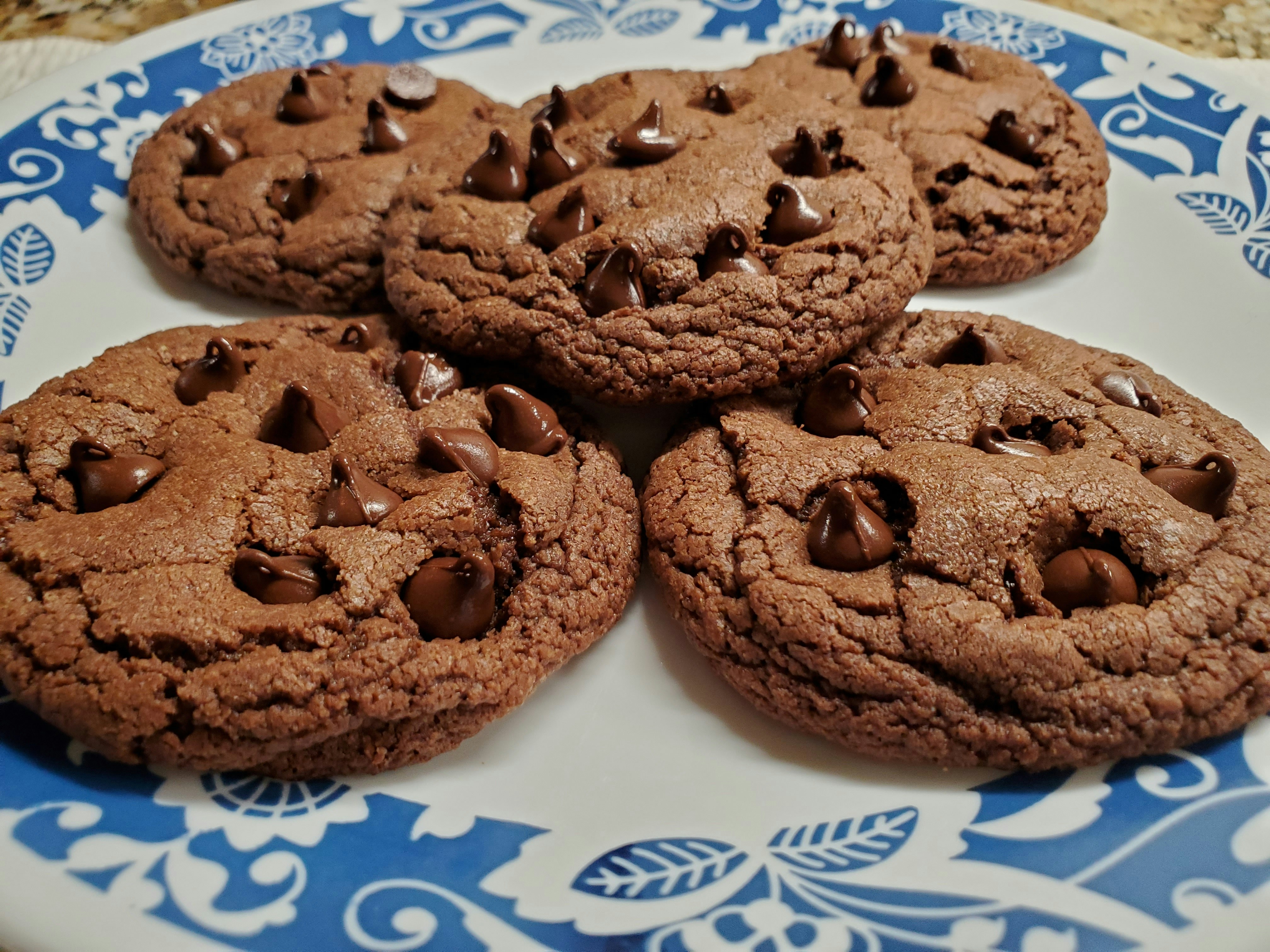 Galletas en plato de cerámica blanca y azul foto – Imagen de 🏡 gratuita ...
