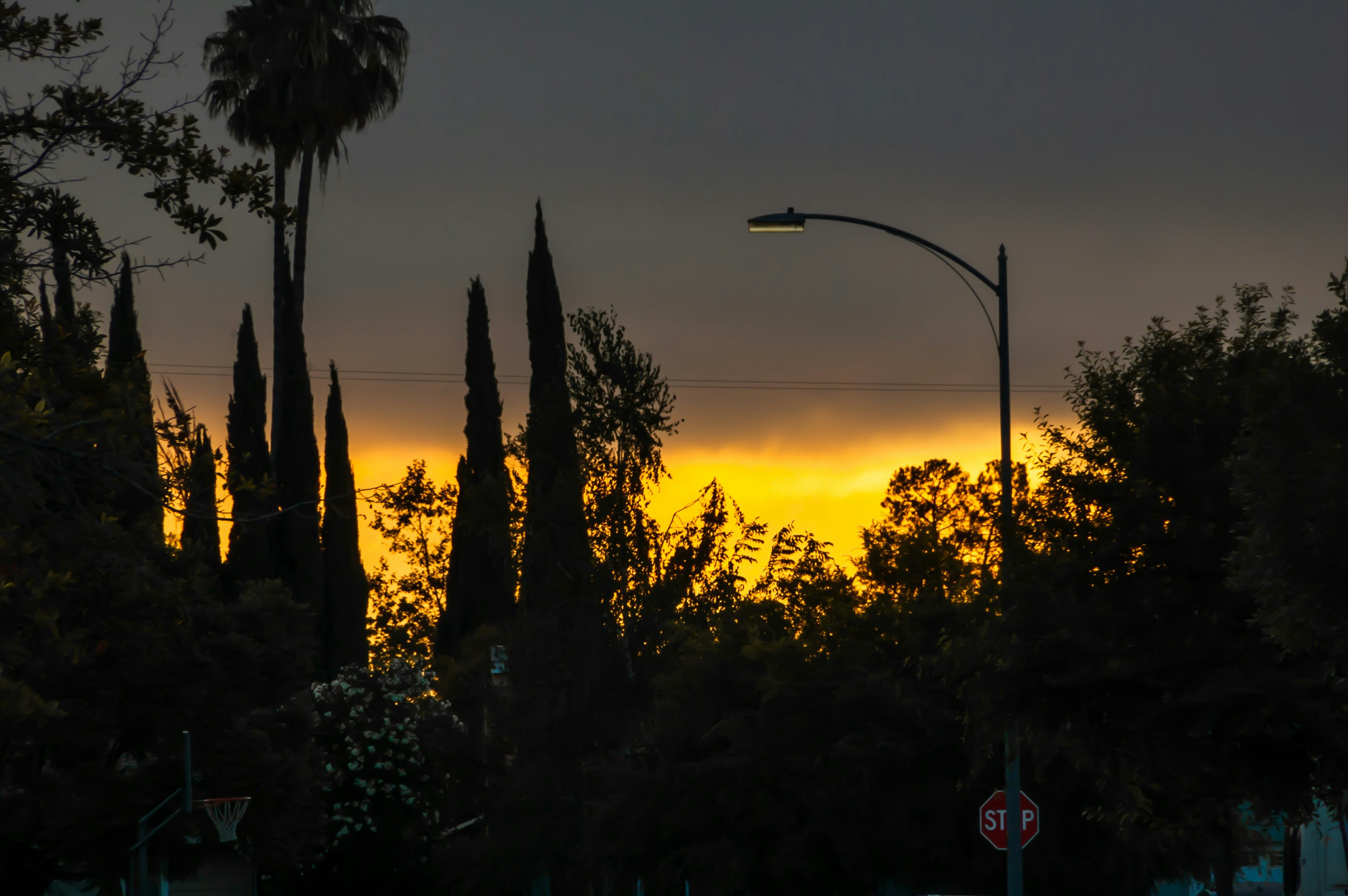 Green trees and lamp post during sunset photo – Free Sunrise Image on ...