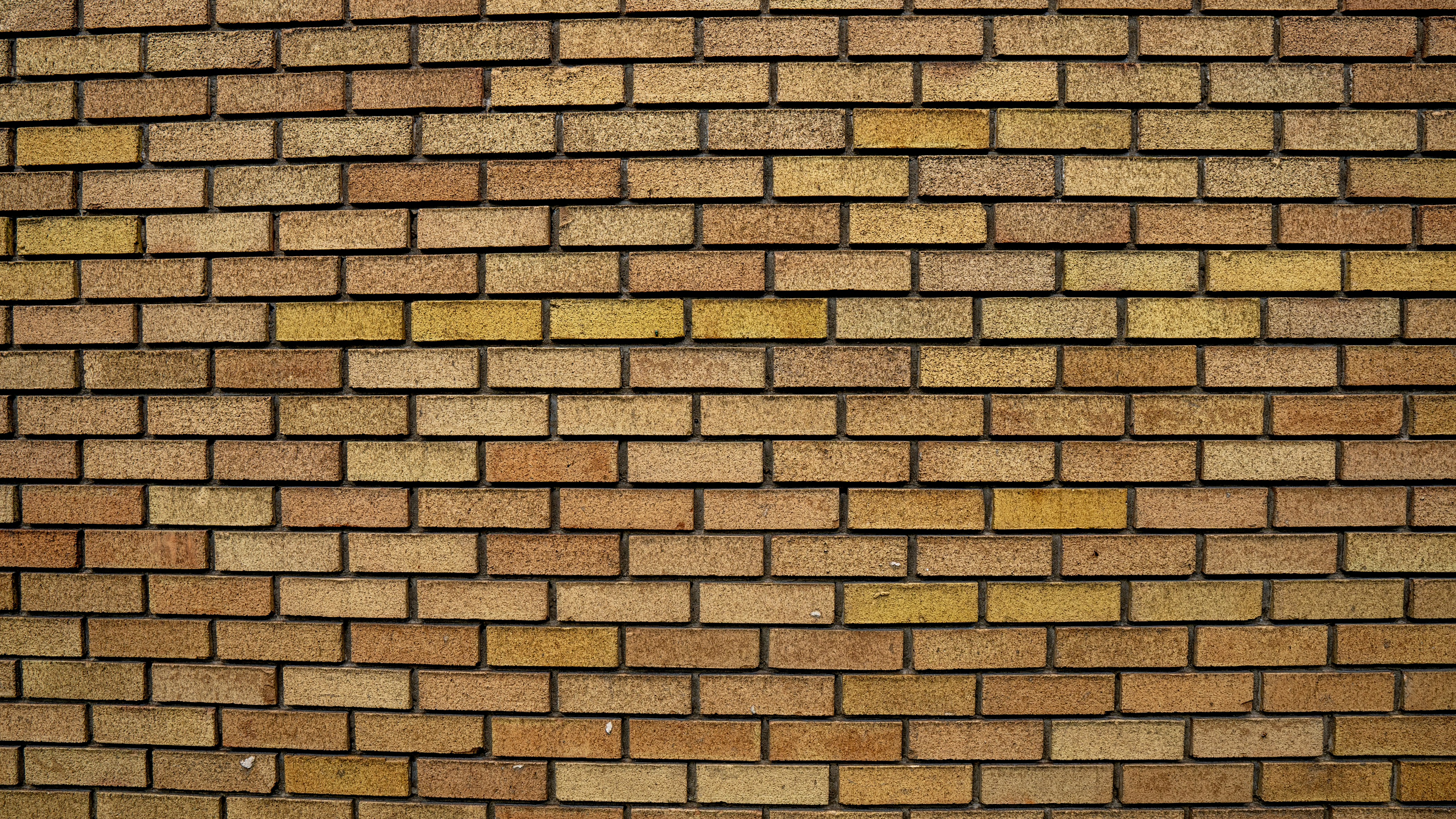 Quiet Rhythm of Red Brick: A Sunlit Facade's Subtle Texture