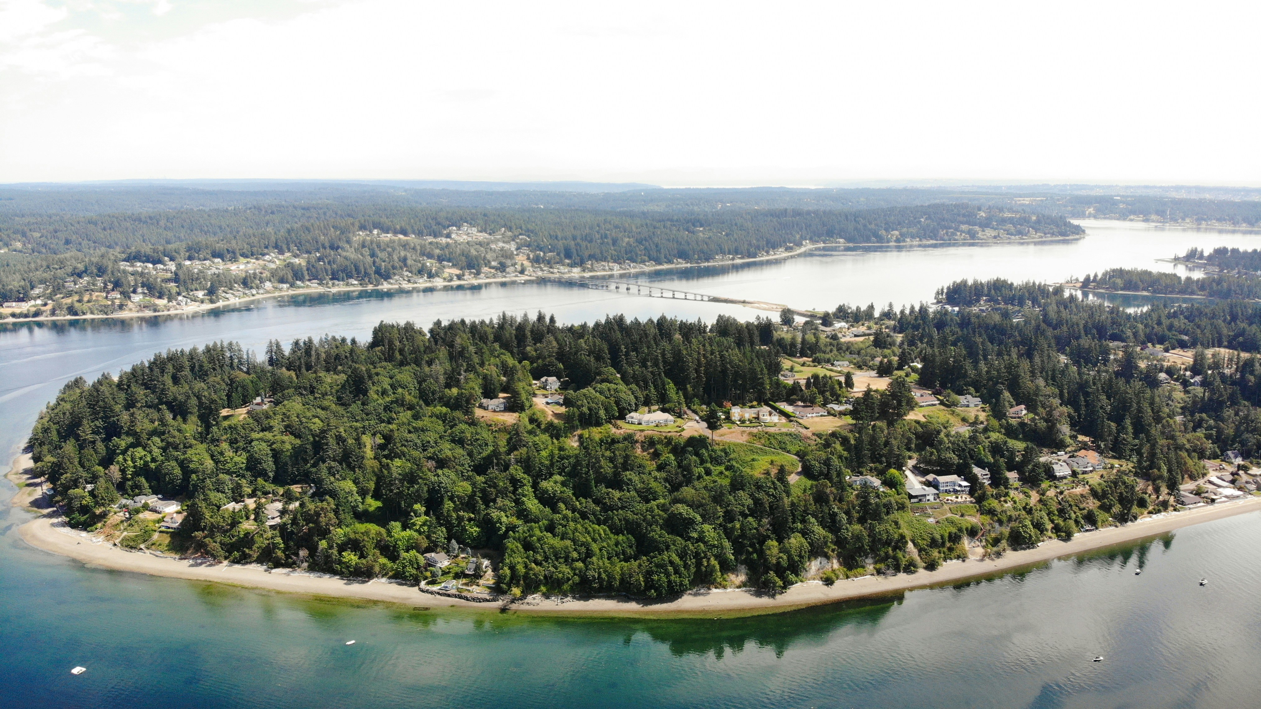 Isolated Island of Pines and Shoreline in Quiet Blue Waters