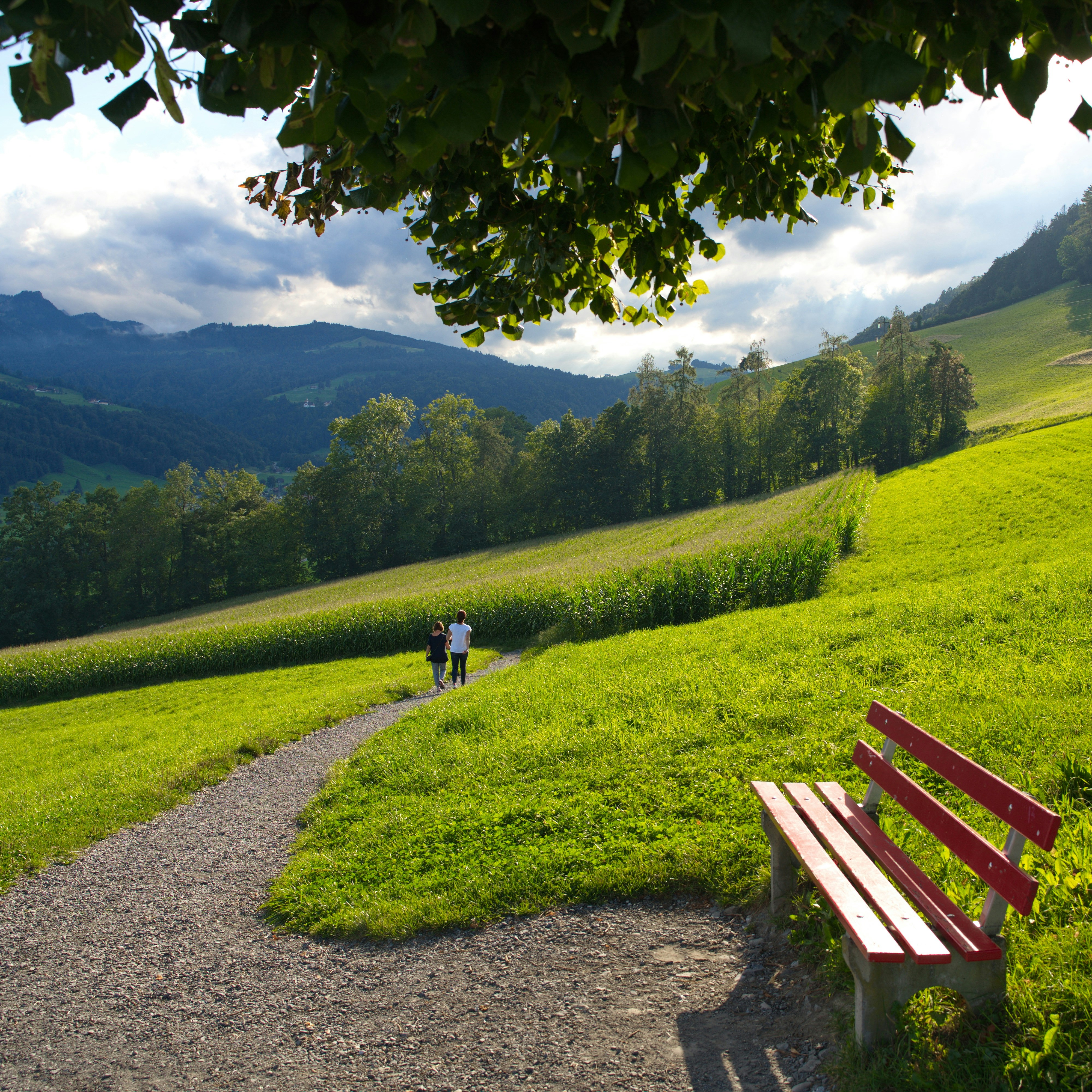 Two hikers walking along a winding path through lush greenery, with a vibrant red bench nearby. The backdrop features rolling hills under a dynamic sky.