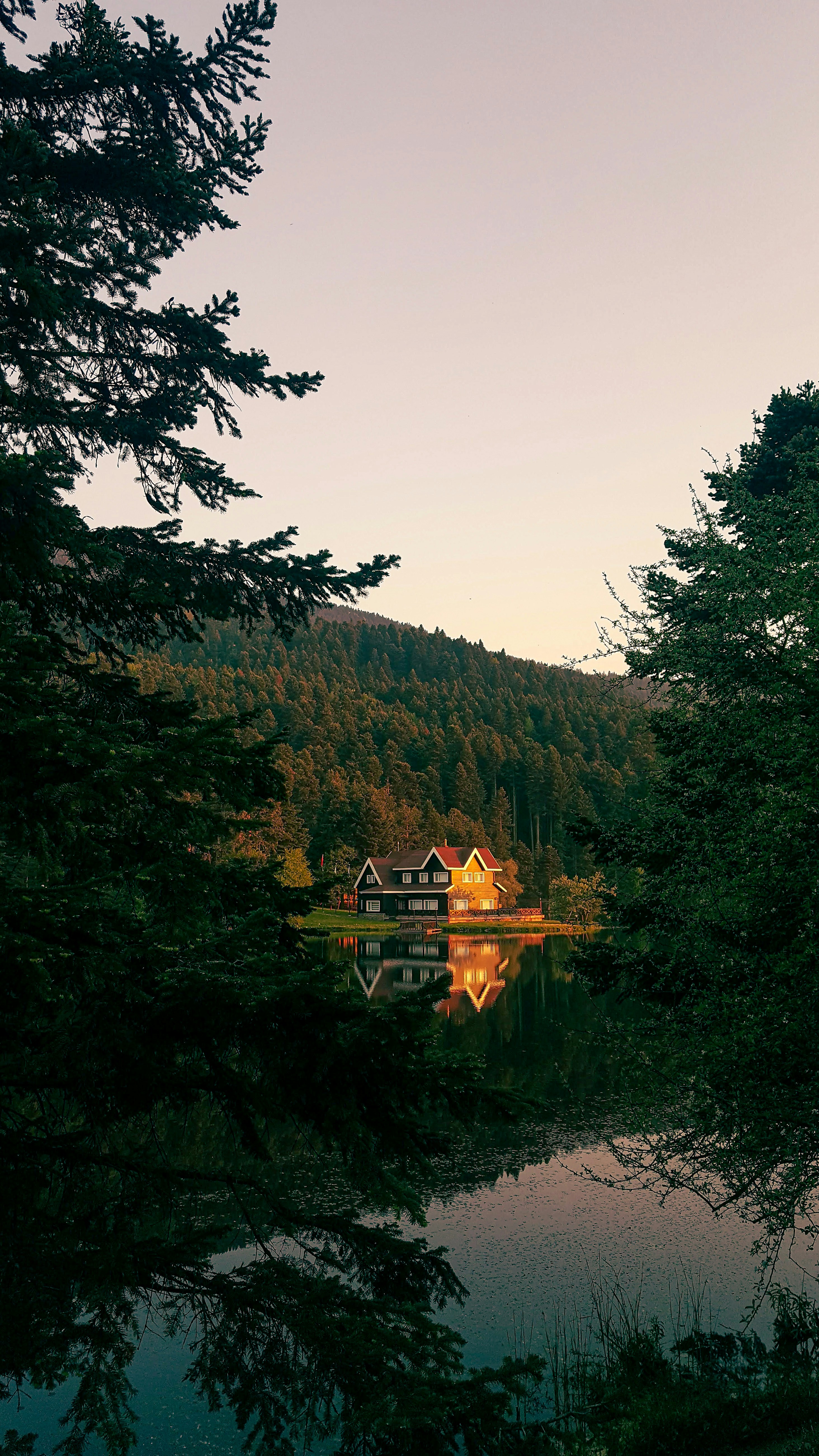 Charming lakeside house surrounded by lush trees, reflecting beautifully on the calm water at dusk.