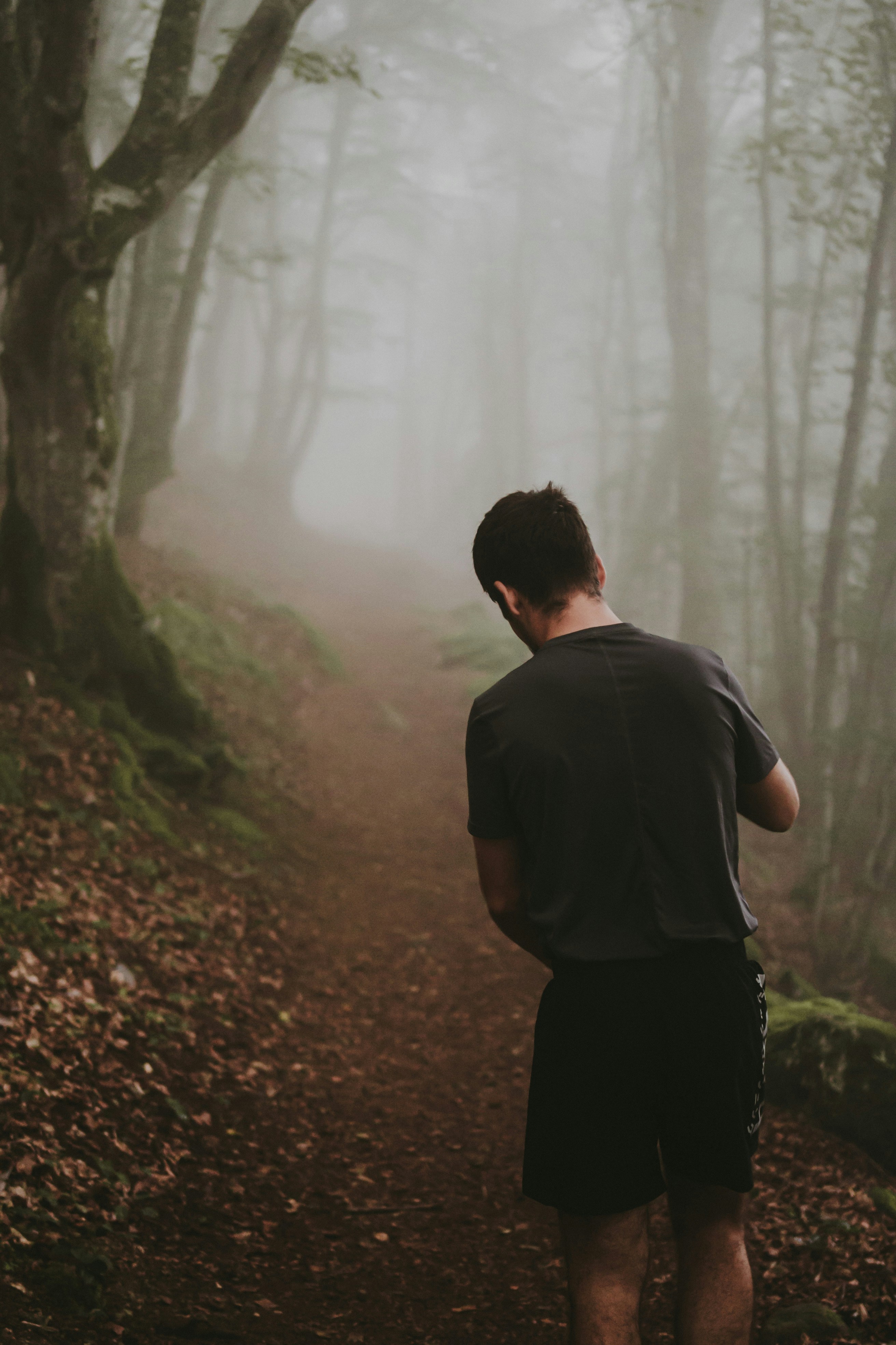 Mist-Wrapped Trail: A lone figure steps into the foggy forest.