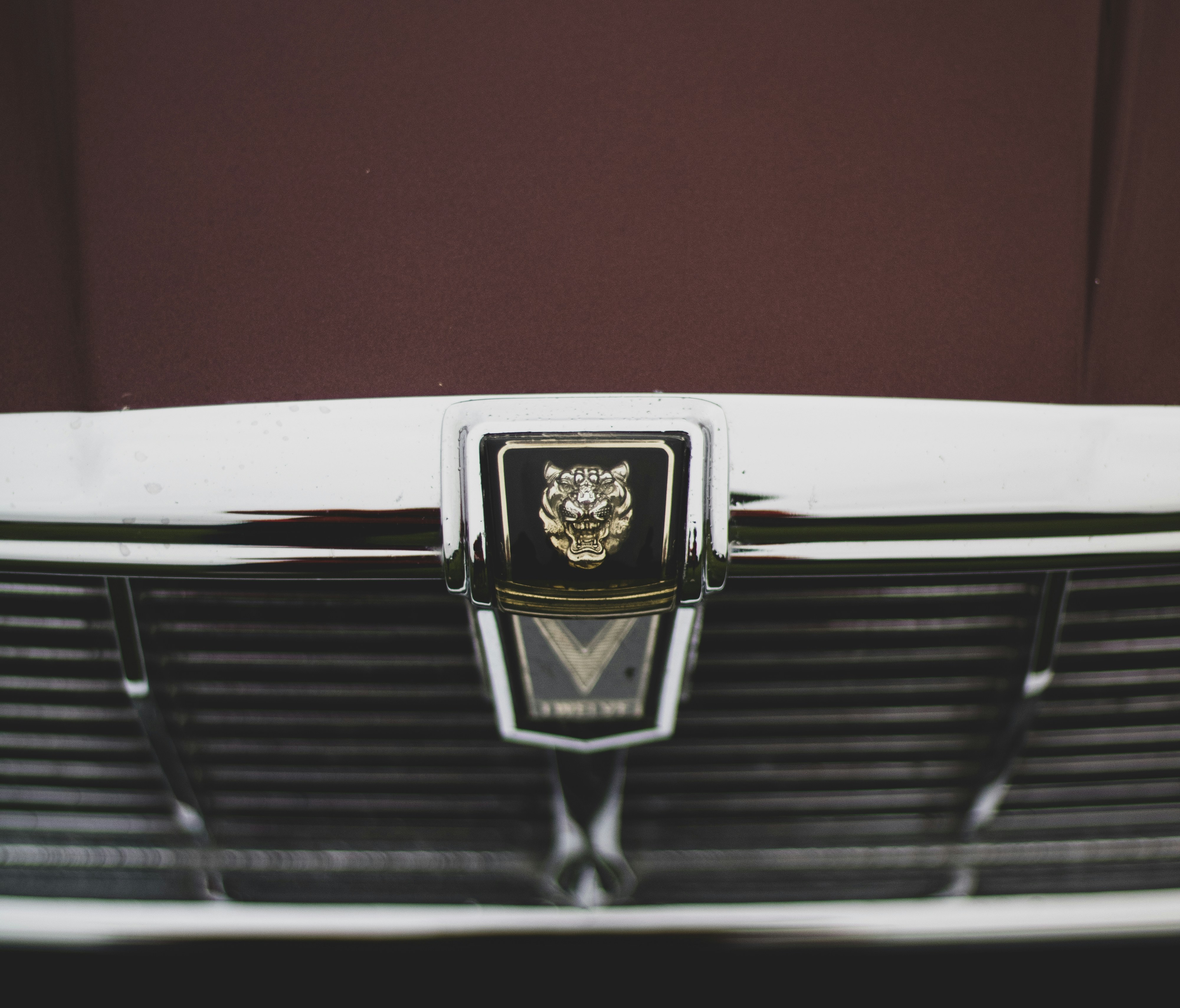 Chrome Crest Close-Up: A Classic Car Grille in Focus