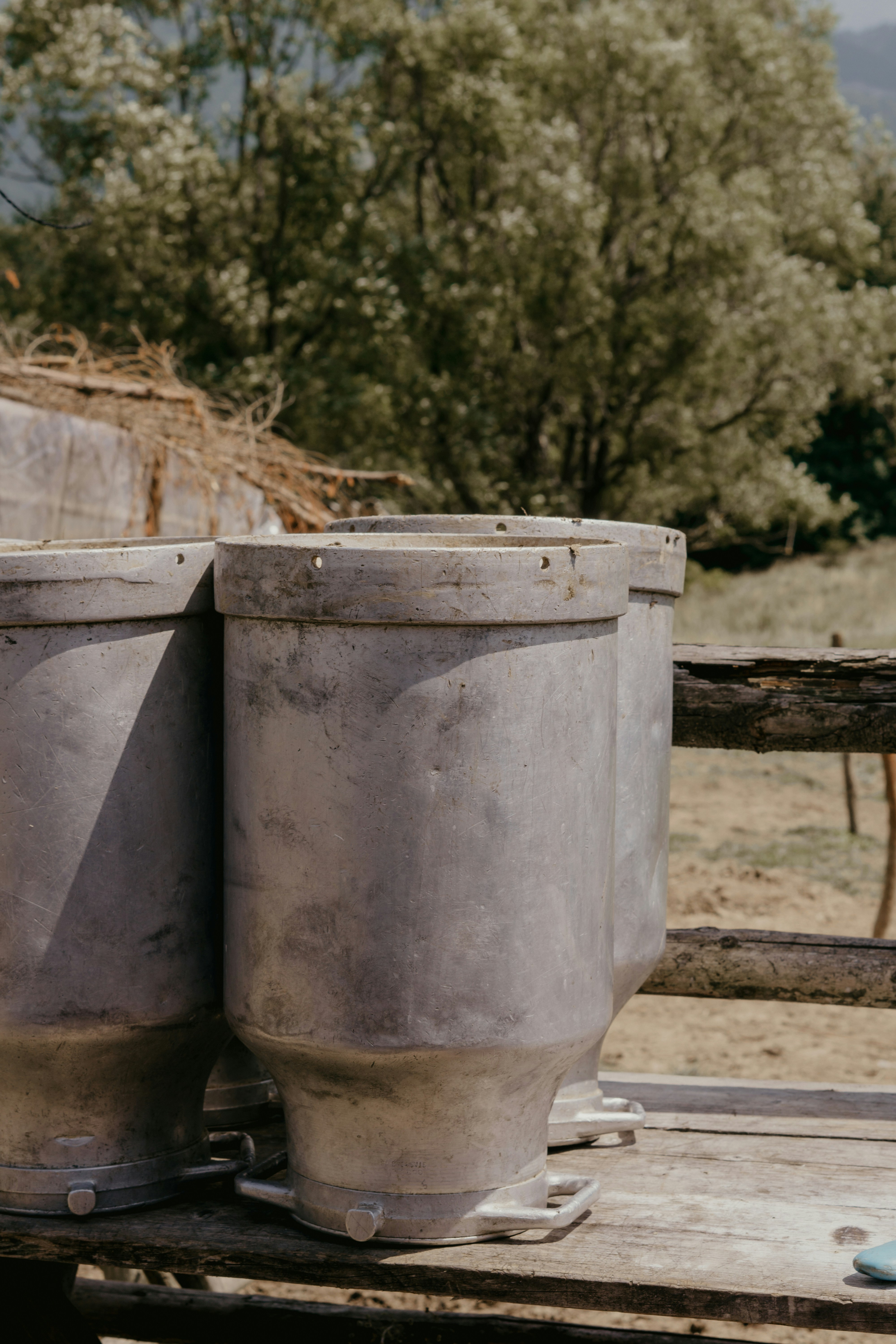 Metal containers resting on a wooden surface, surrounded by a serene natural backdrop of trees and distant hills.