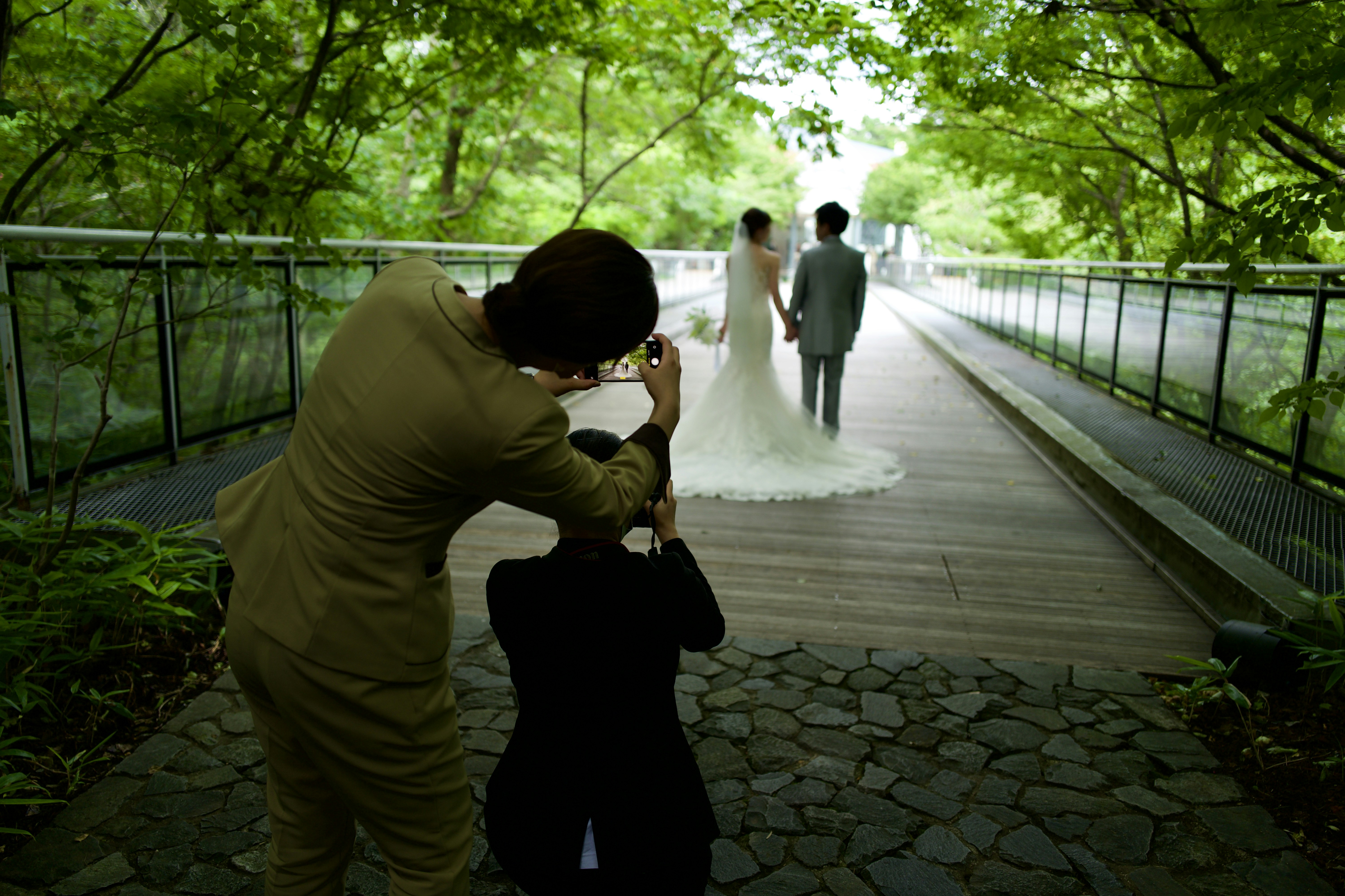 Vows Under a Verdant Arch: Wedding Portrait on a Forest Bridge