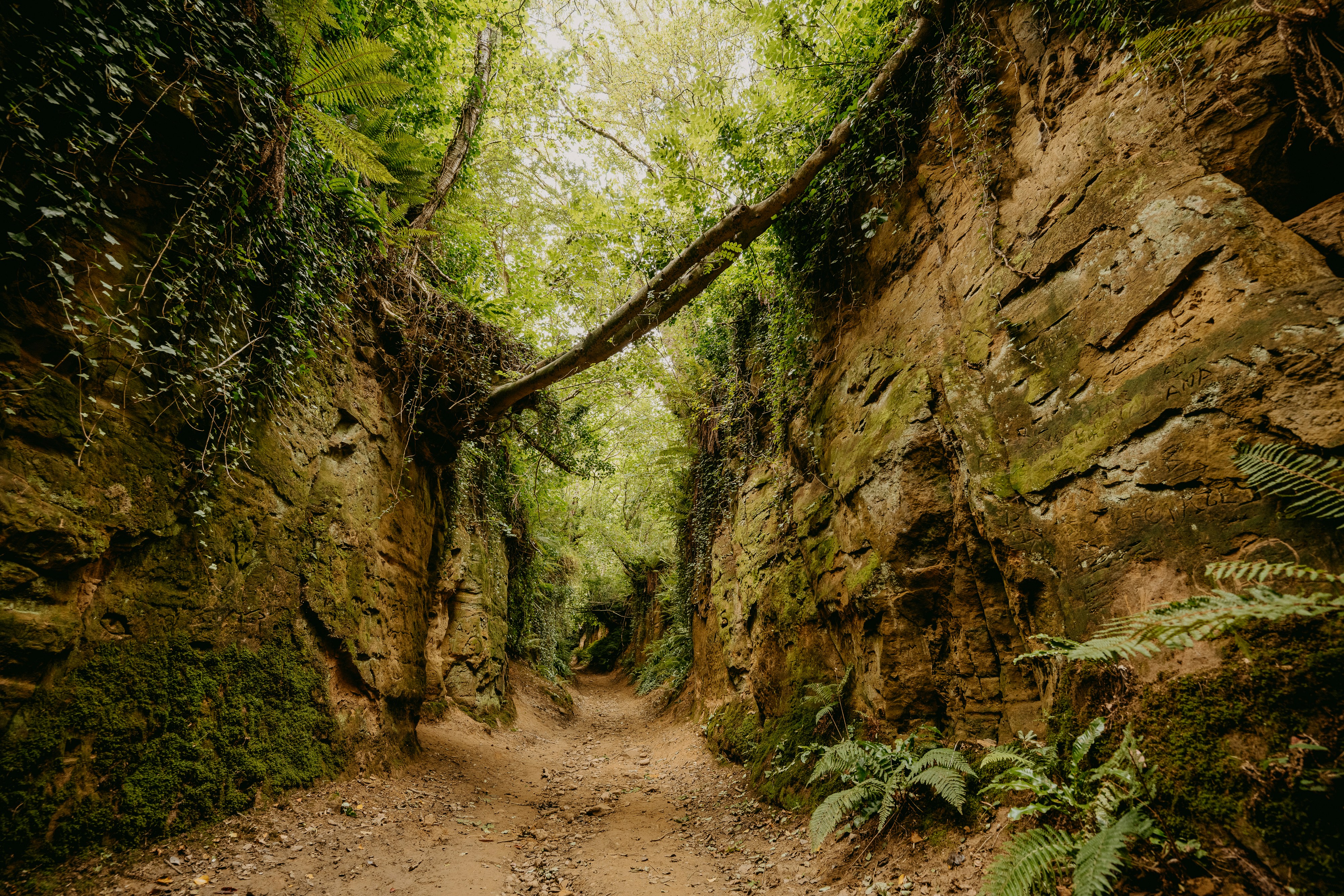 Brown dirt road between brown and green rock formation during daytime ...