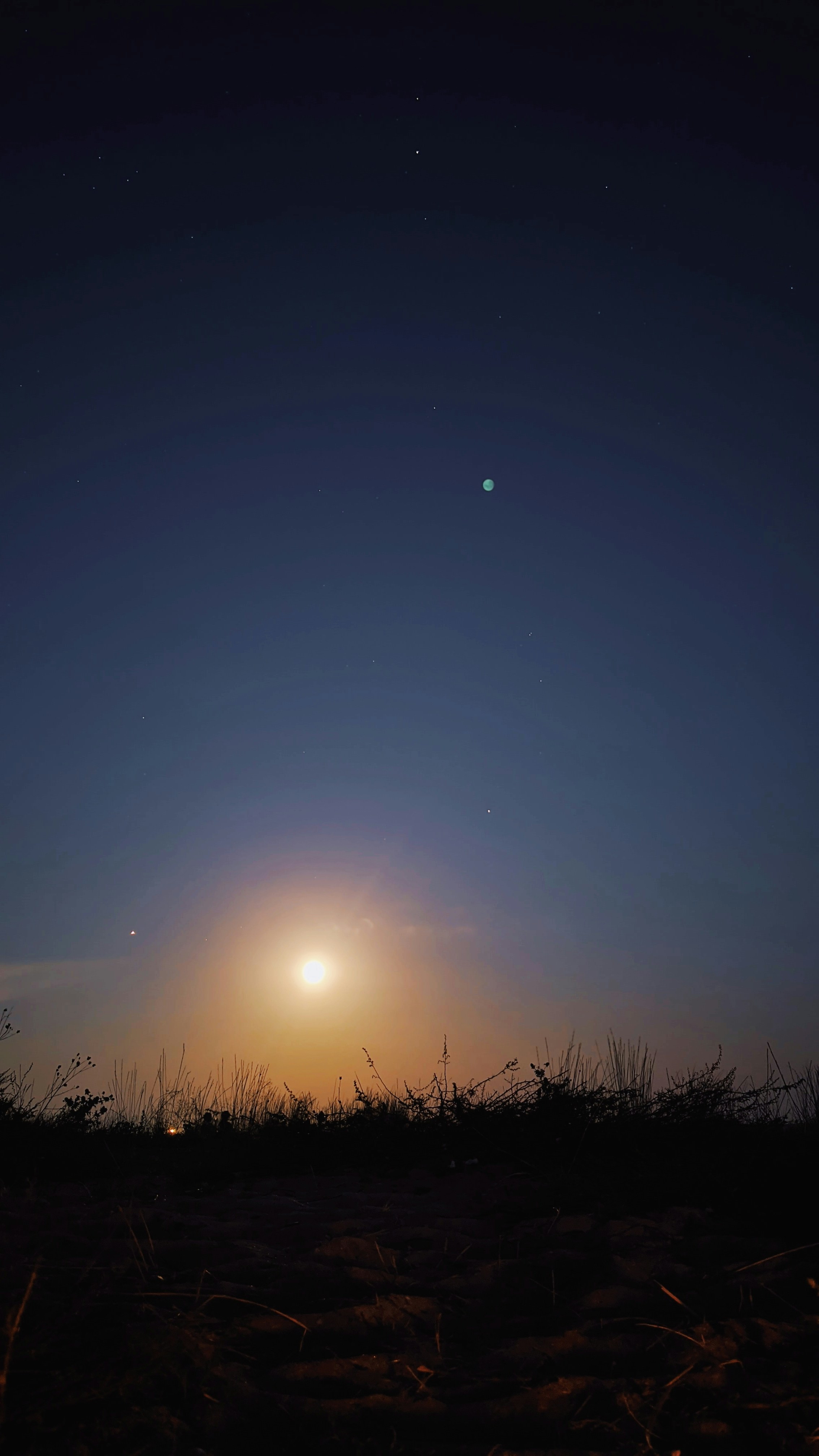 Moonrise Over a Velvet Horizon: Stars Across a Quiet Field