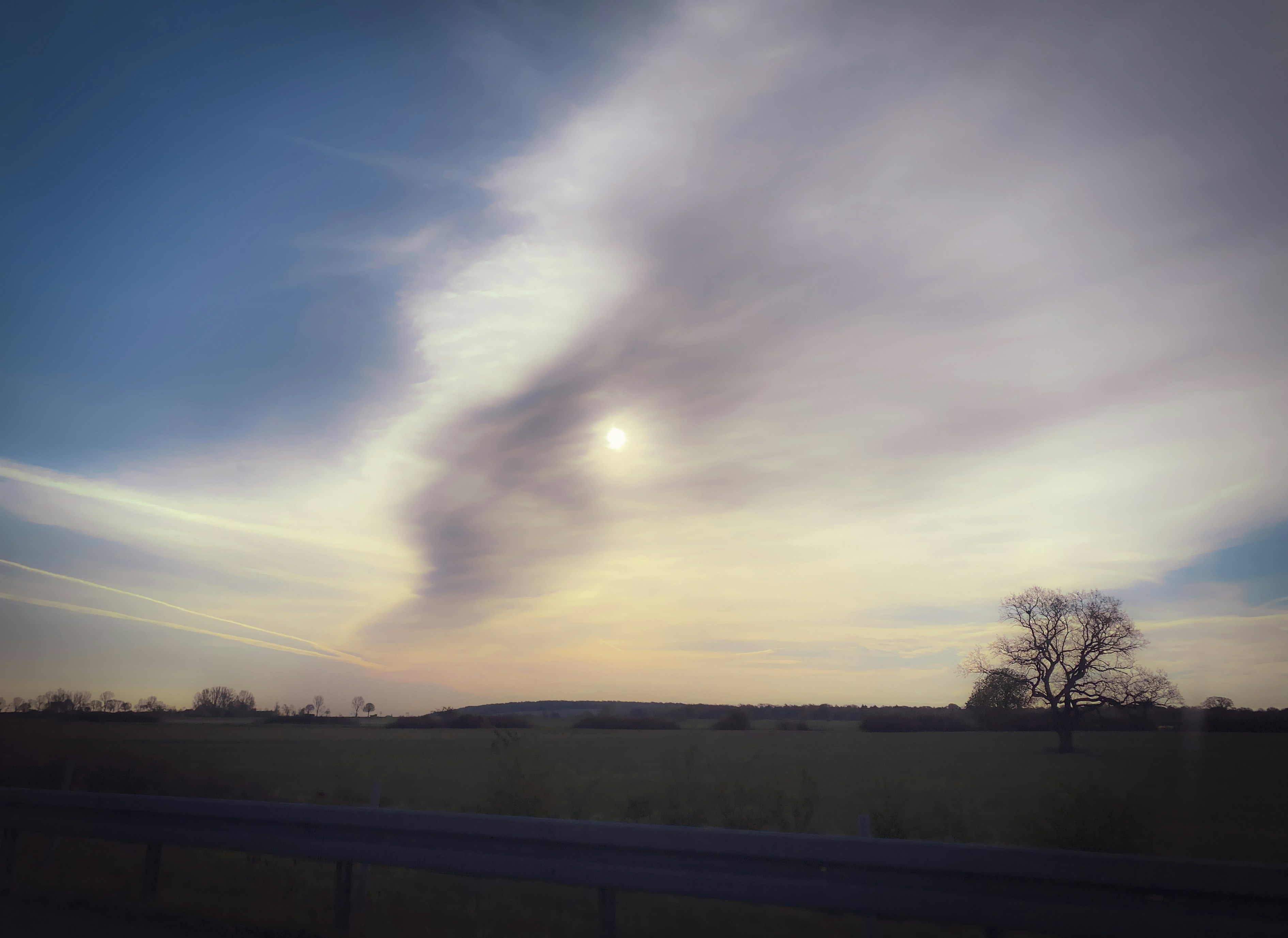 Evening Drift: A Lone Oak Anchors the Quiet Horizon