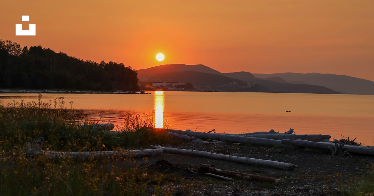 Green Grass Near Body Of Water During Sunset Photo Free Gaspé Image