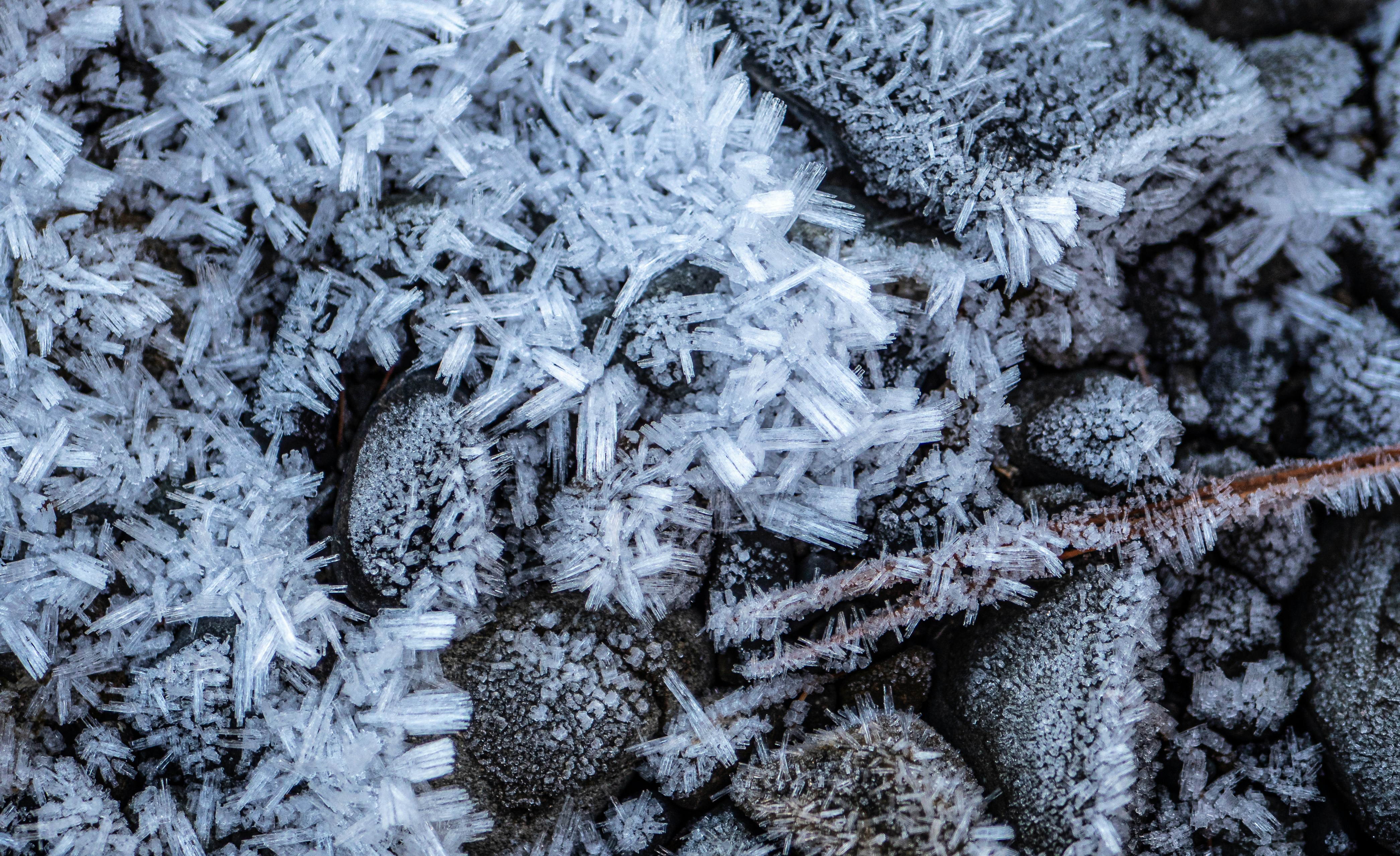 Ice-Spun Microcosm: Frost Crystals on a Weathered Surface