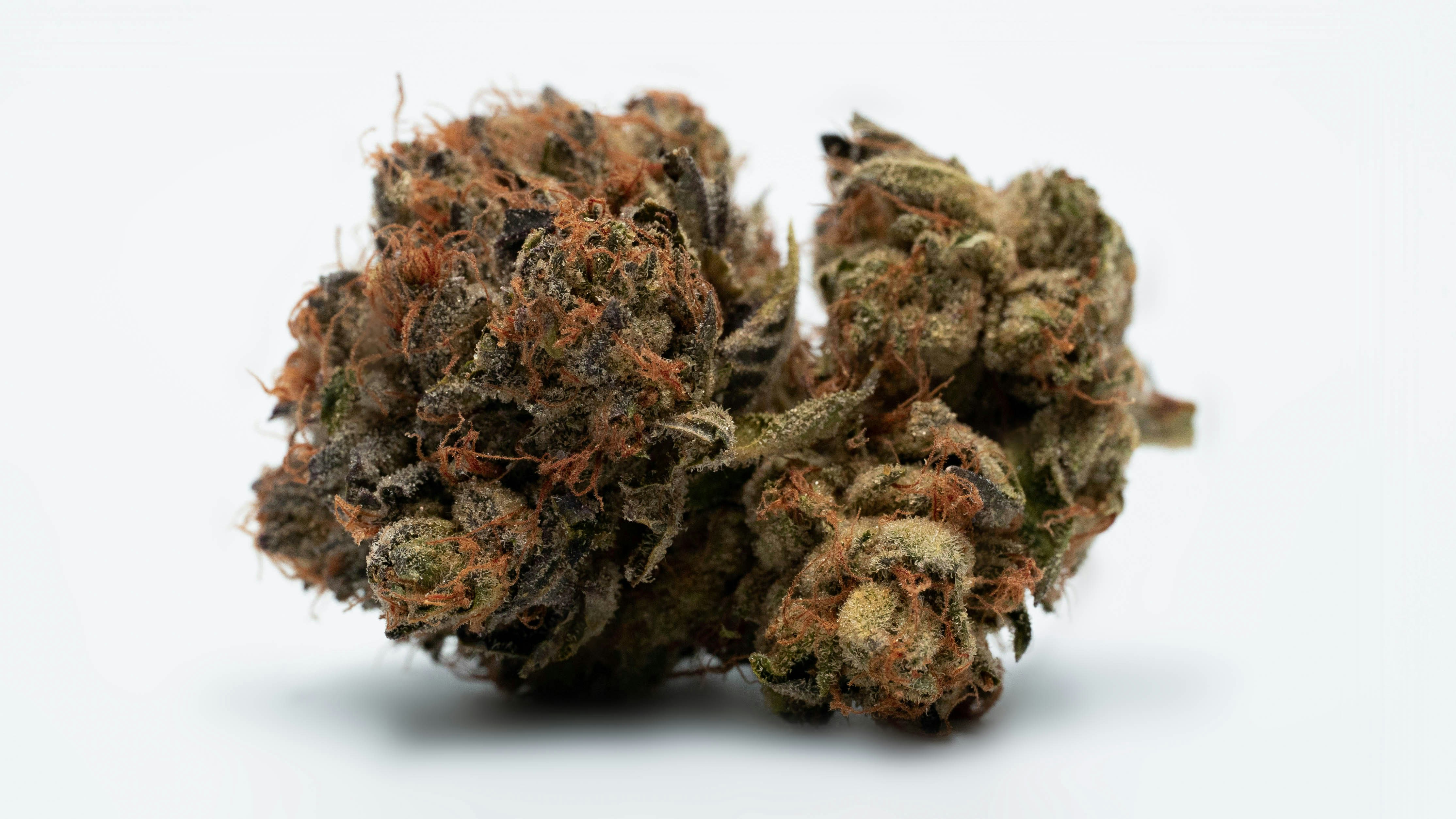 Infused Flower: Everything You Need To Know