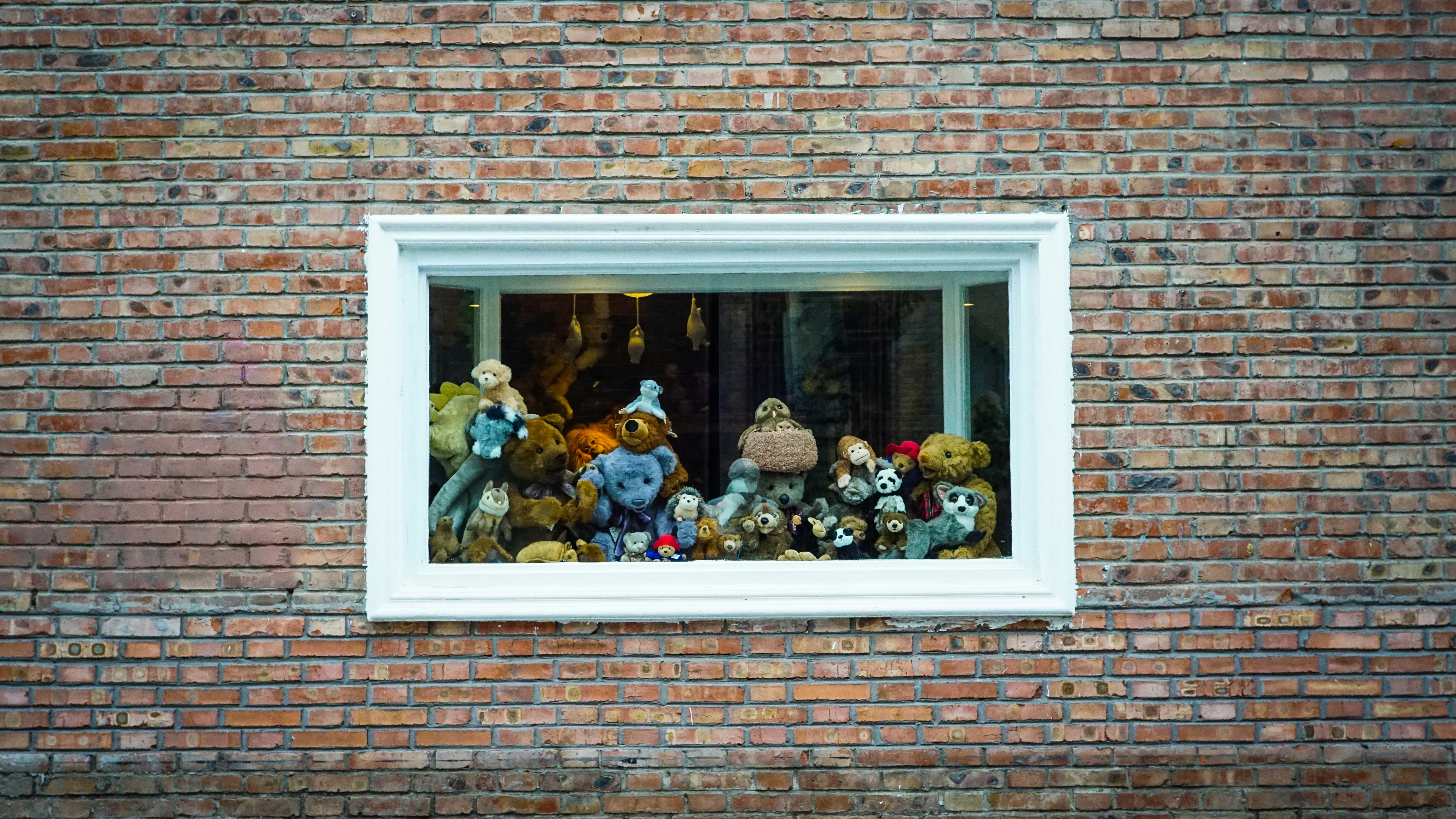 Teddy Parade Behind Brick Window: A Quiet Plush Display