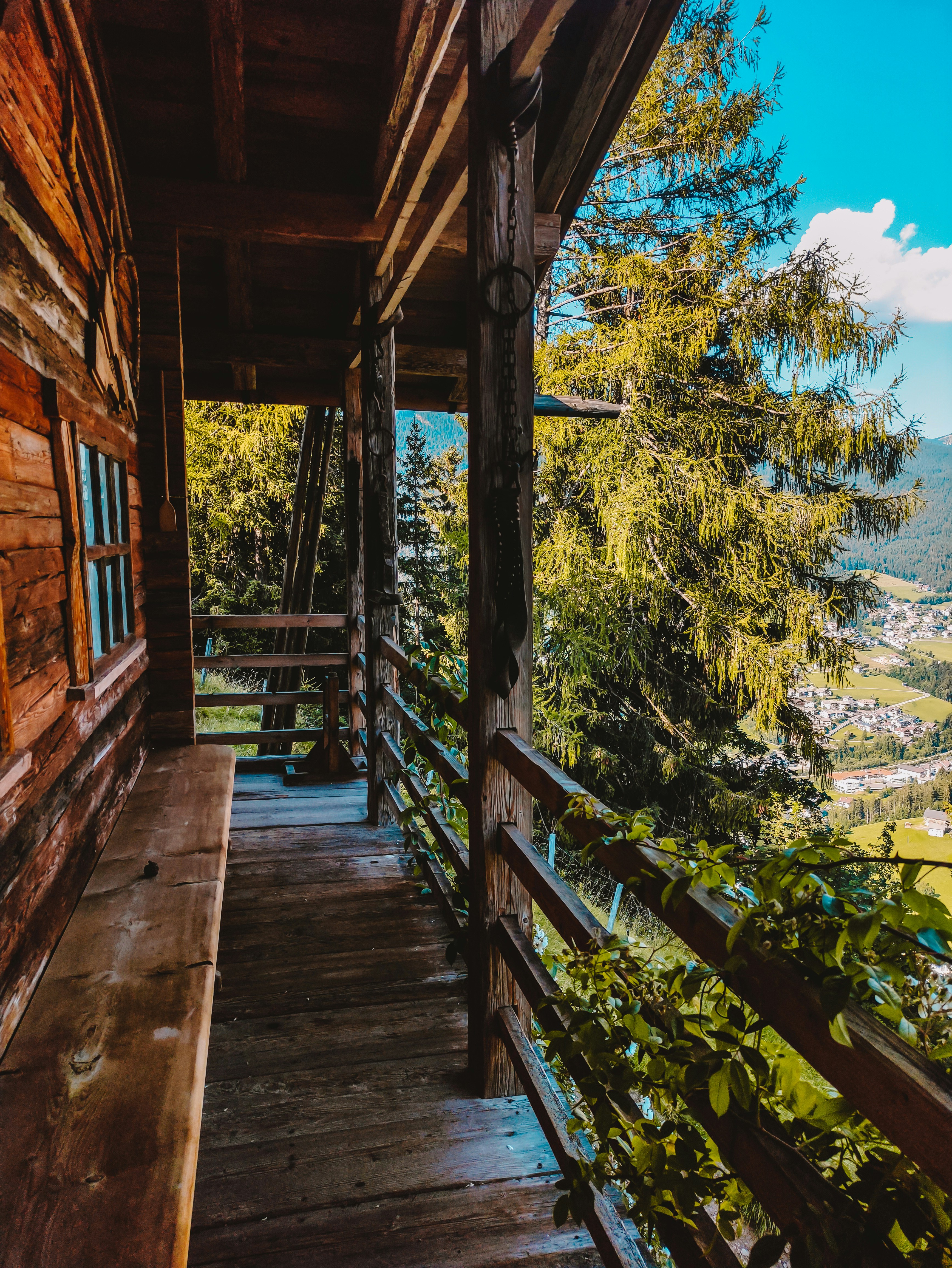 Brown wooden bridge near green trees during daytime photo – Free Wild ...