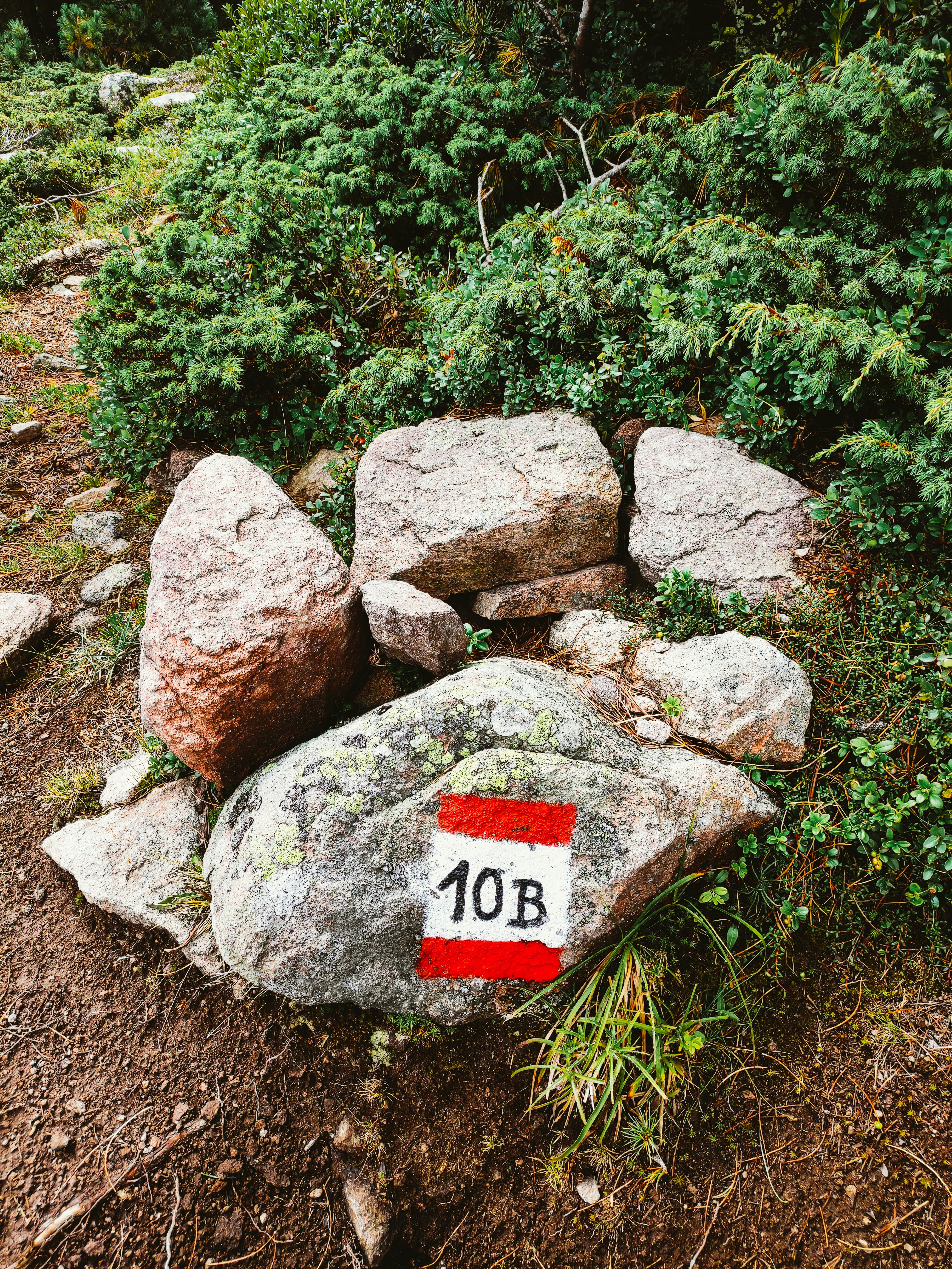 Gray and red rock near green plants during daytime photo – Free Road ...