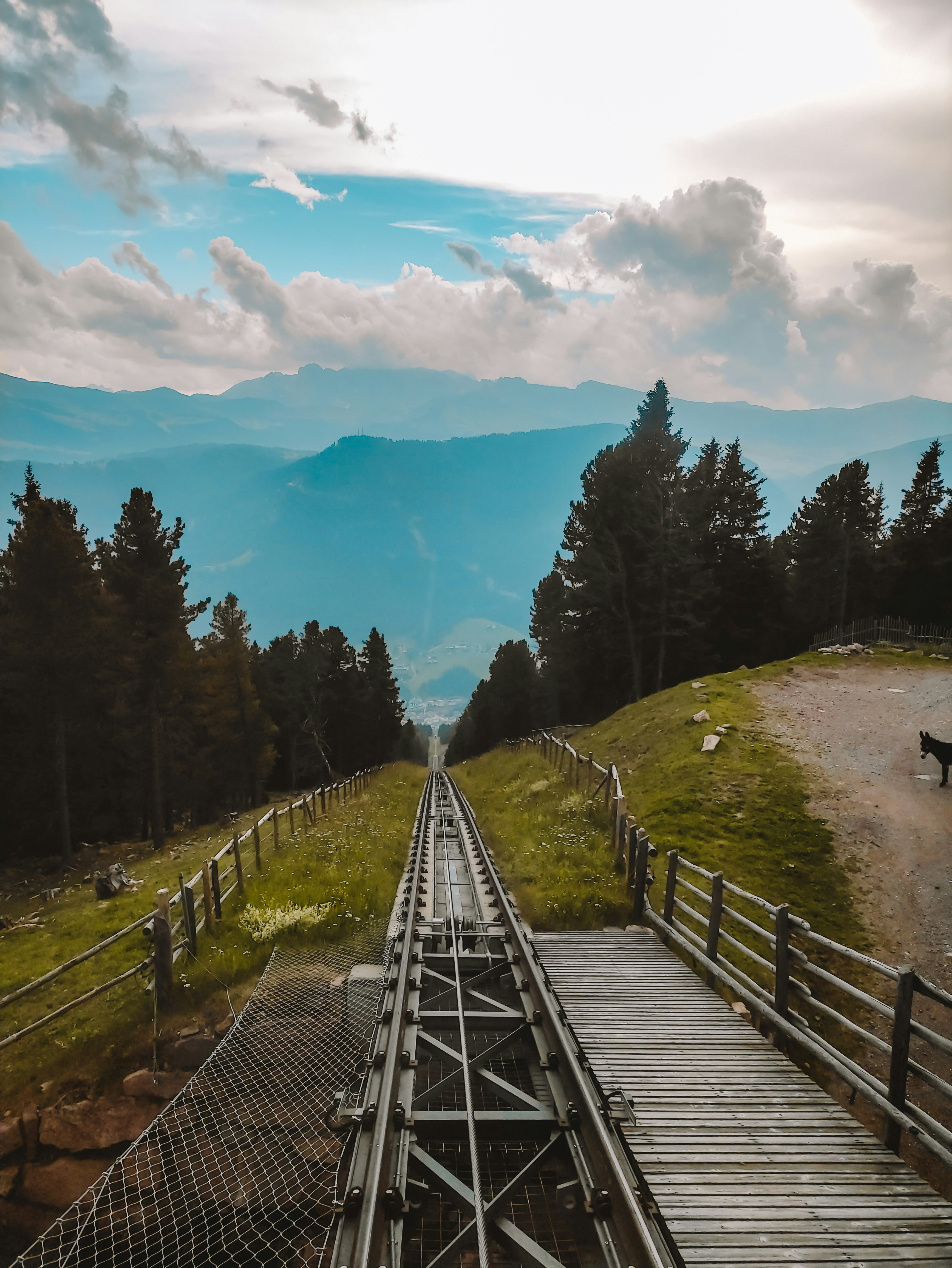 Brown wooden bridge over green trees under white clouds and blue sky ...