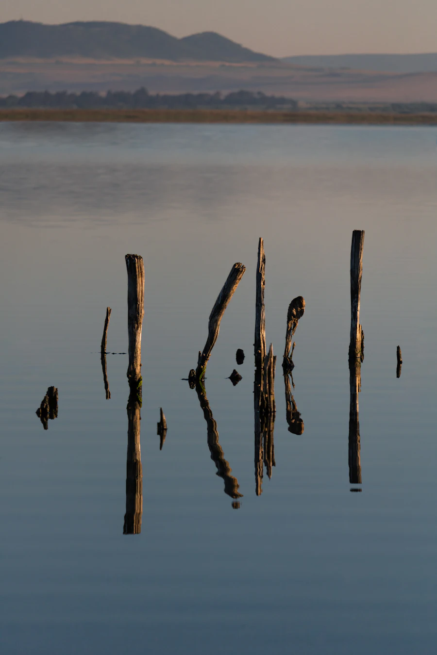 Weathered wooden posts and their reflections stand in calm water with hazy mountains in the distance. Soft evening light gives the scene muted blue and gold tones.