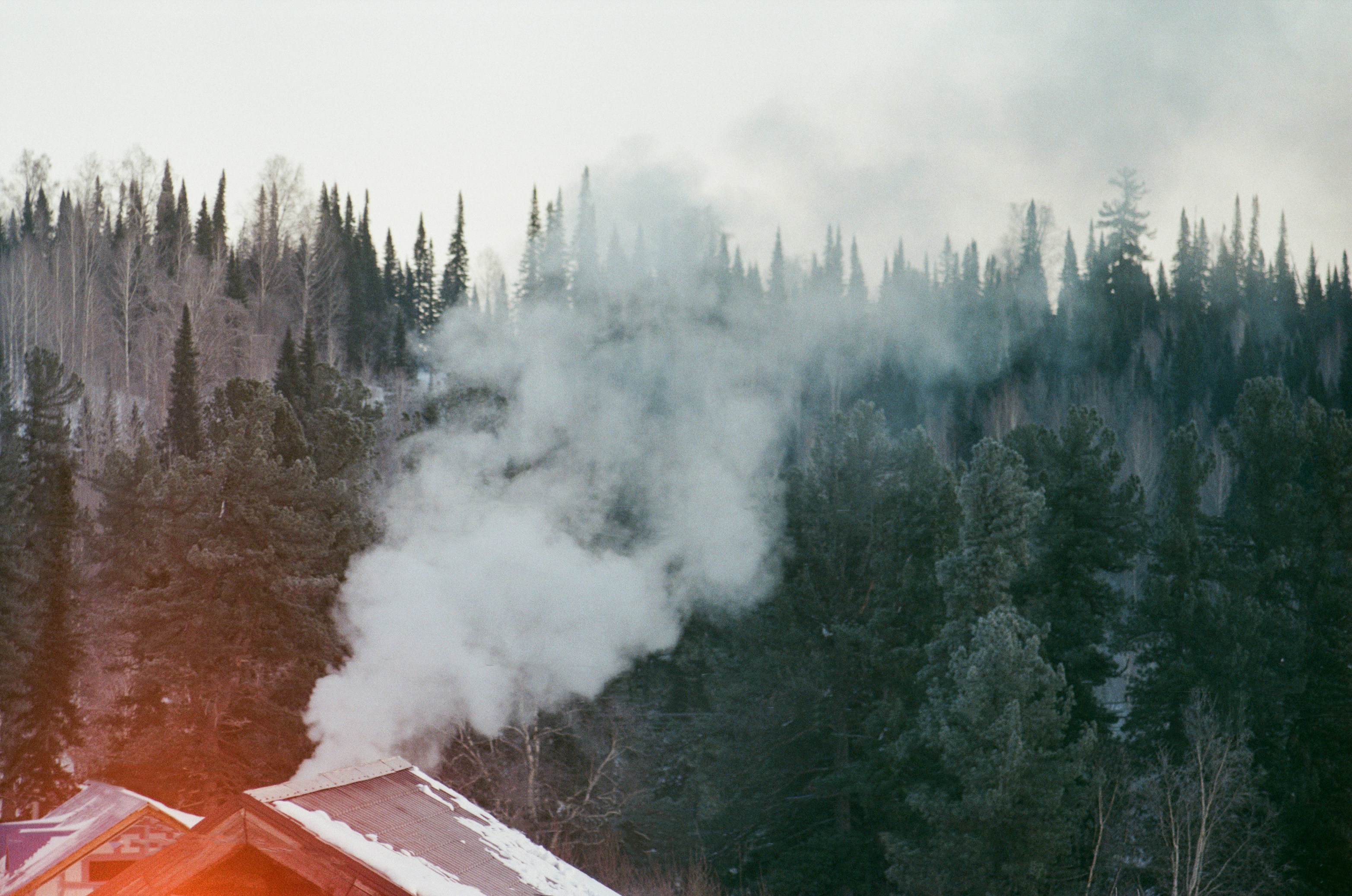 Smoke billows from a cabin roof, surrounded by tall evergreen trees in a serene winter landscape.