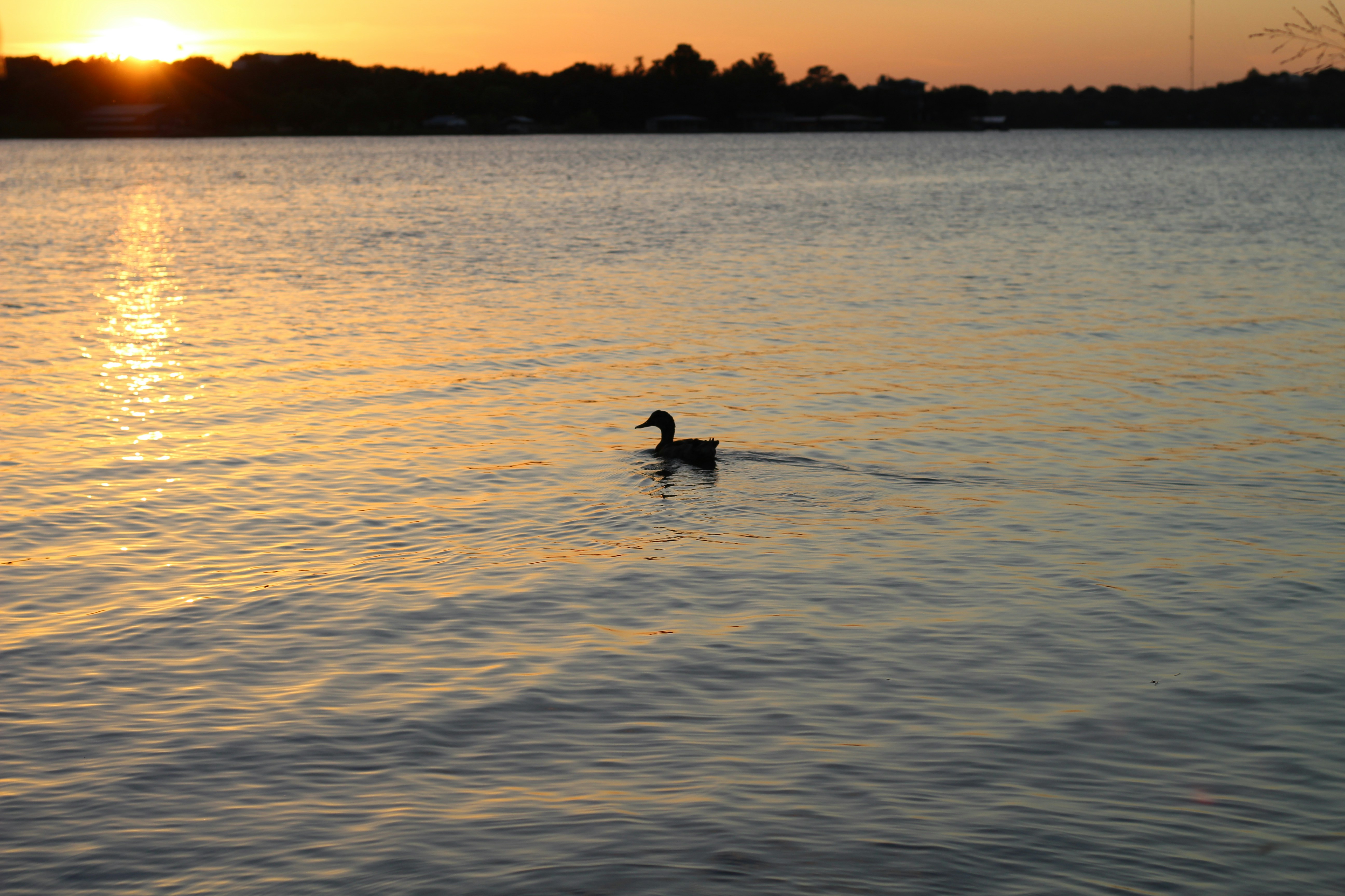 Spring Texas Neighborhoods | Living in Spring TX