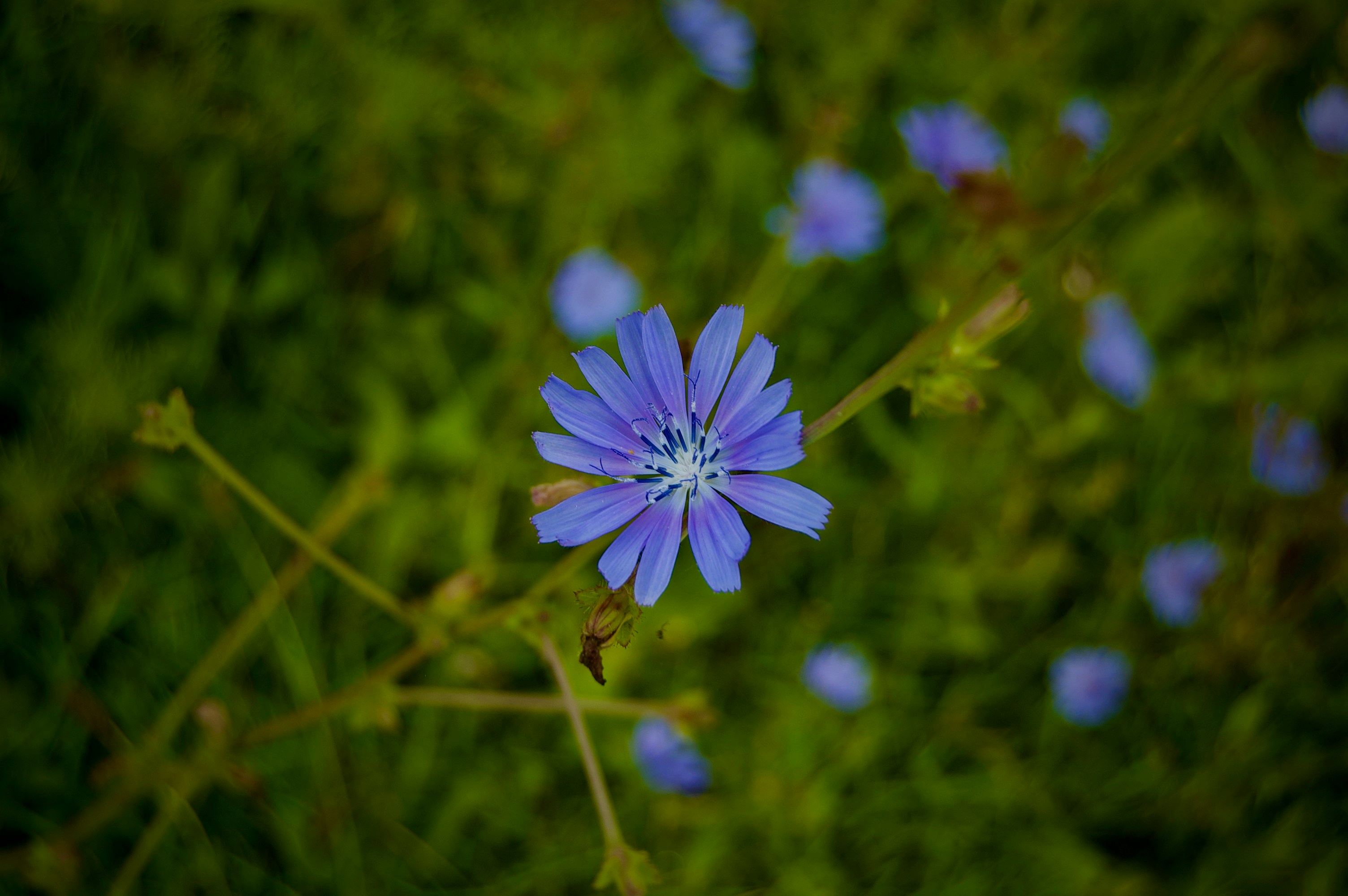 Mister Olsen (@mister_olsen) | Unsplash Photo Community