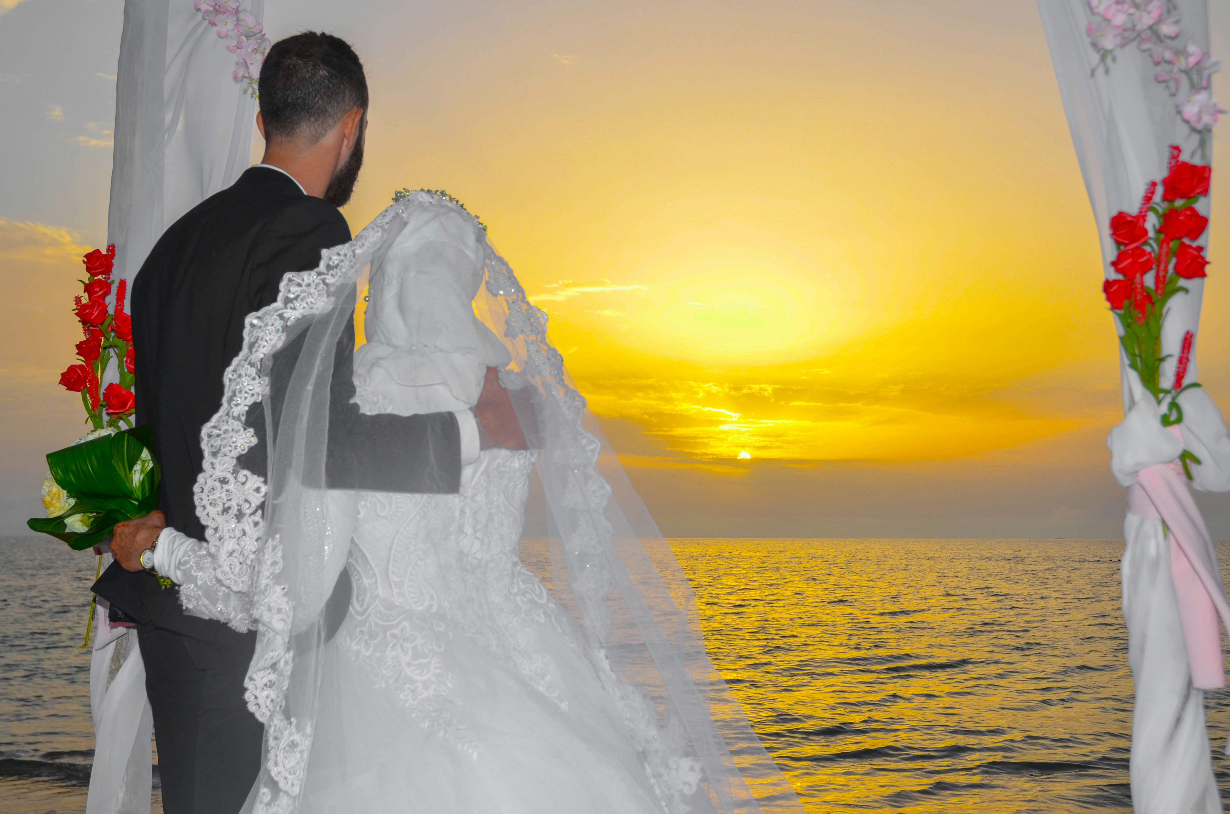 Golden Horizon Vows: A Seaside Wedding Under a Floral Arch