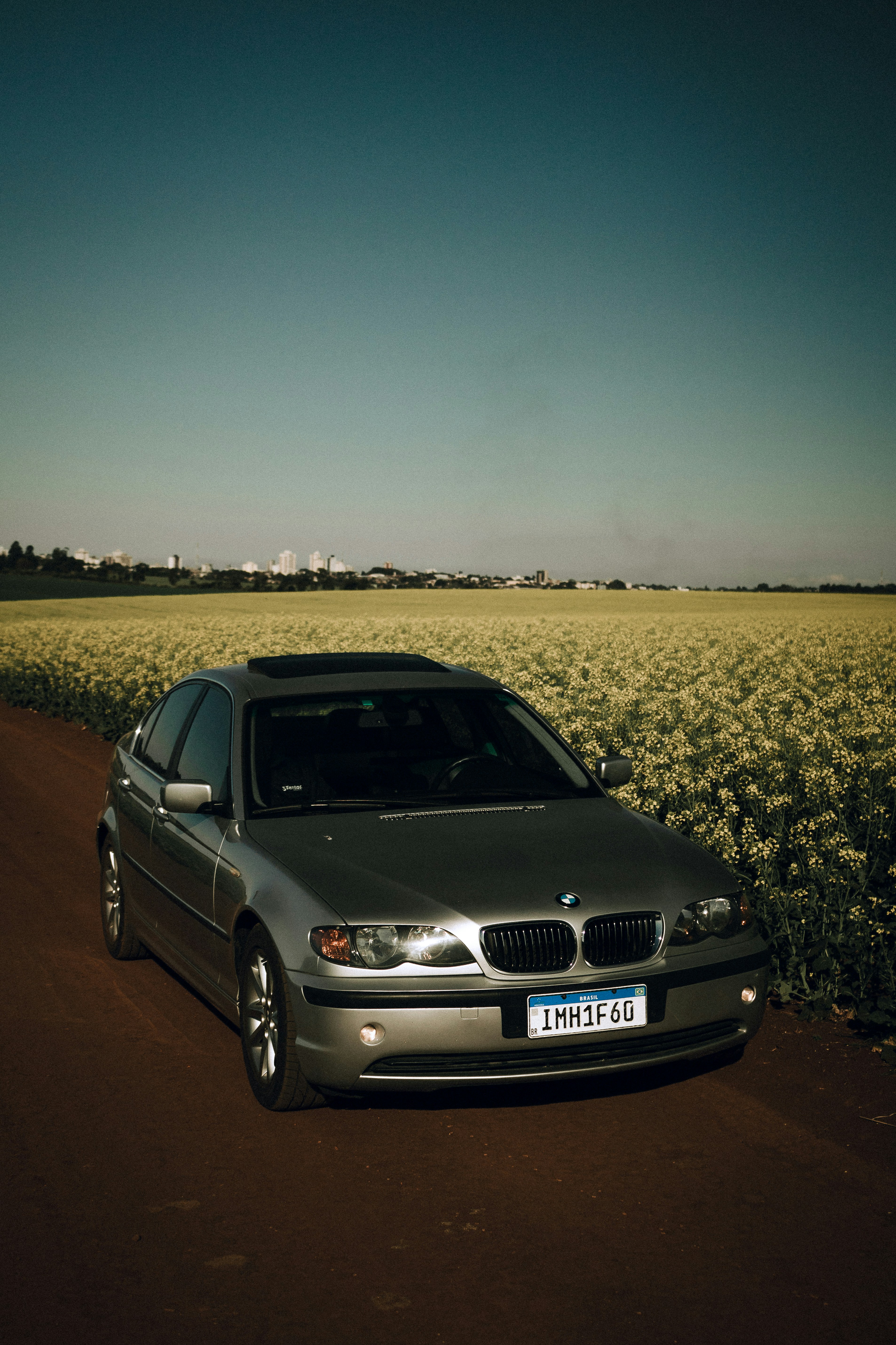 BMW on a Canola Road at Golden Hour
