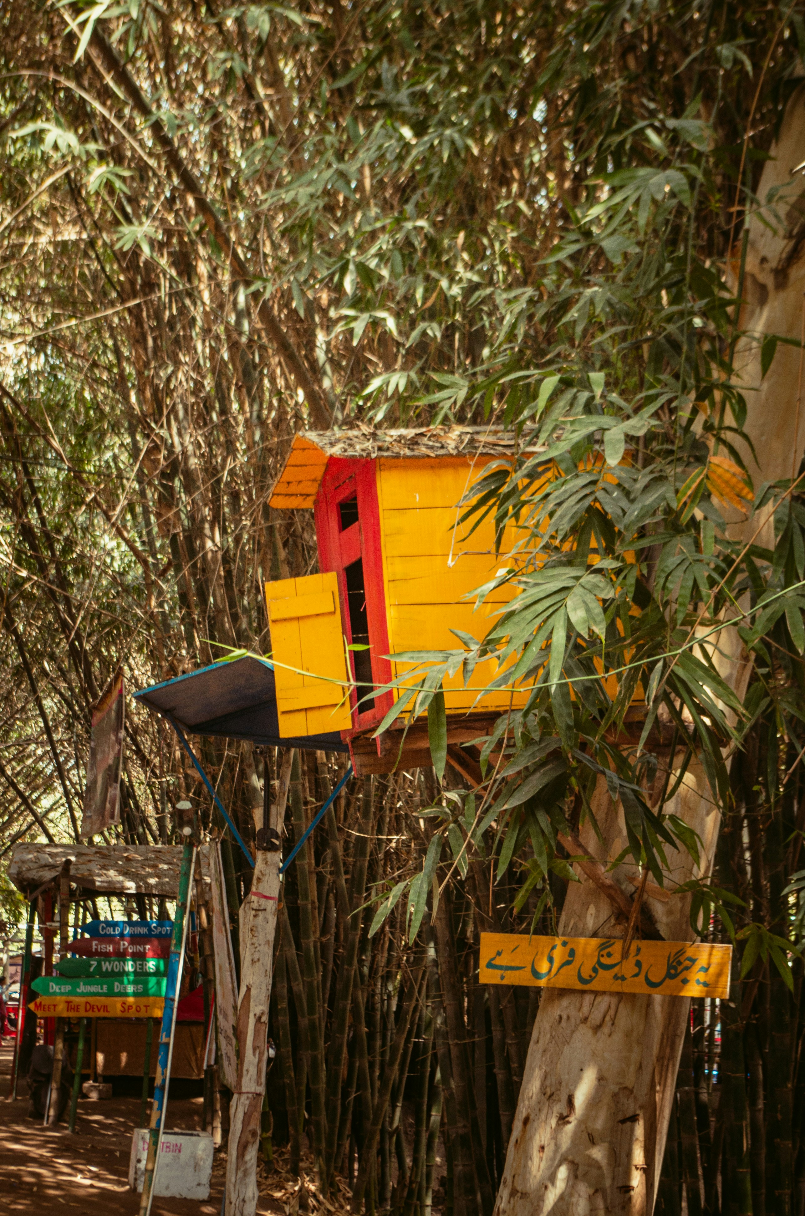 Bright yellow birdhouse with a red entrance sits among dense bamboo, with a nearby sign hinting at a garden retreat. This photograph centers on the colorful focal point against a lush green backdrop.