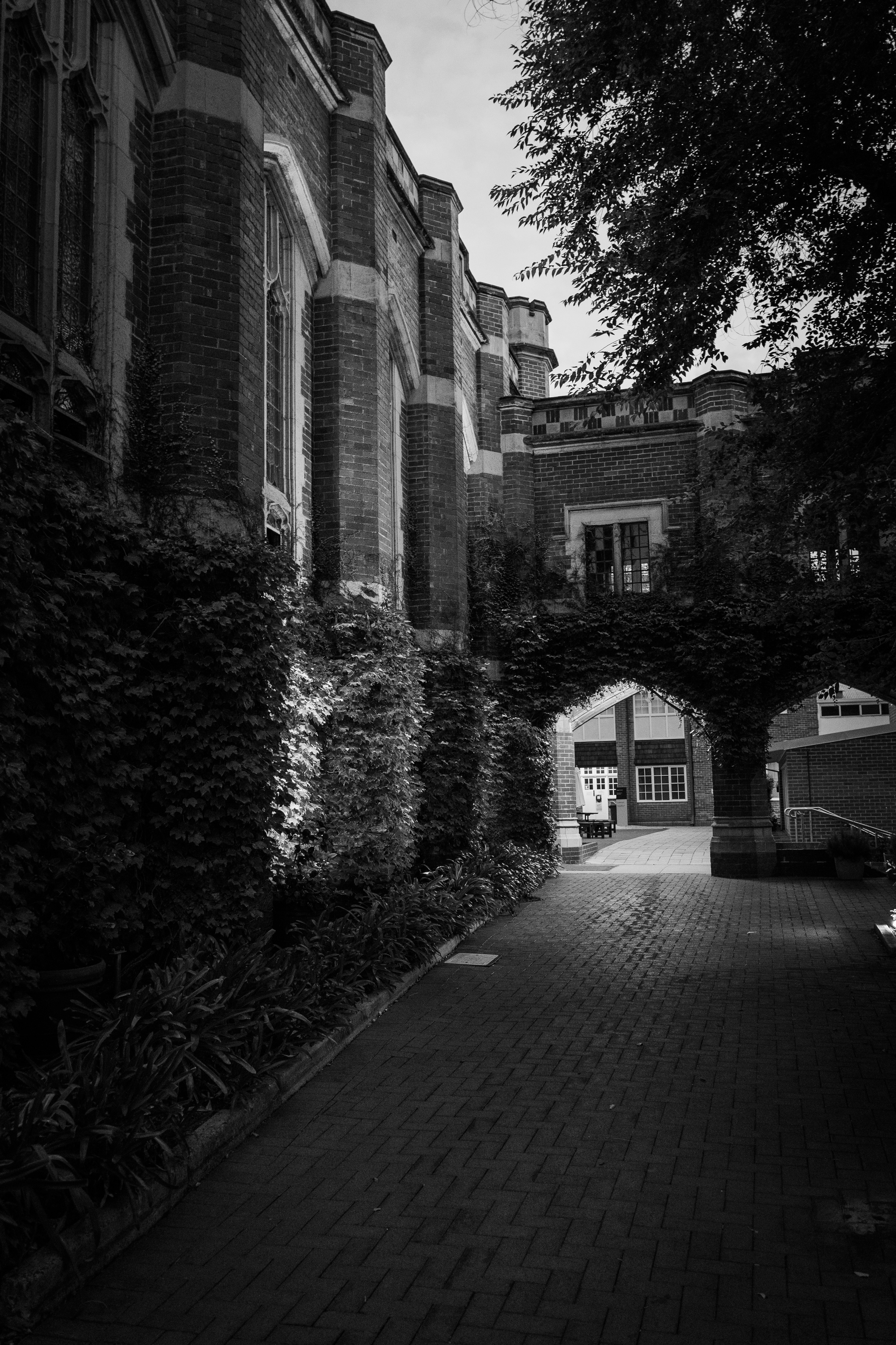A serene pathway framed by ivy-covered brick walls leads to an archway, inviting exploration. The scene captures the essence of architectural elegance in black and white.