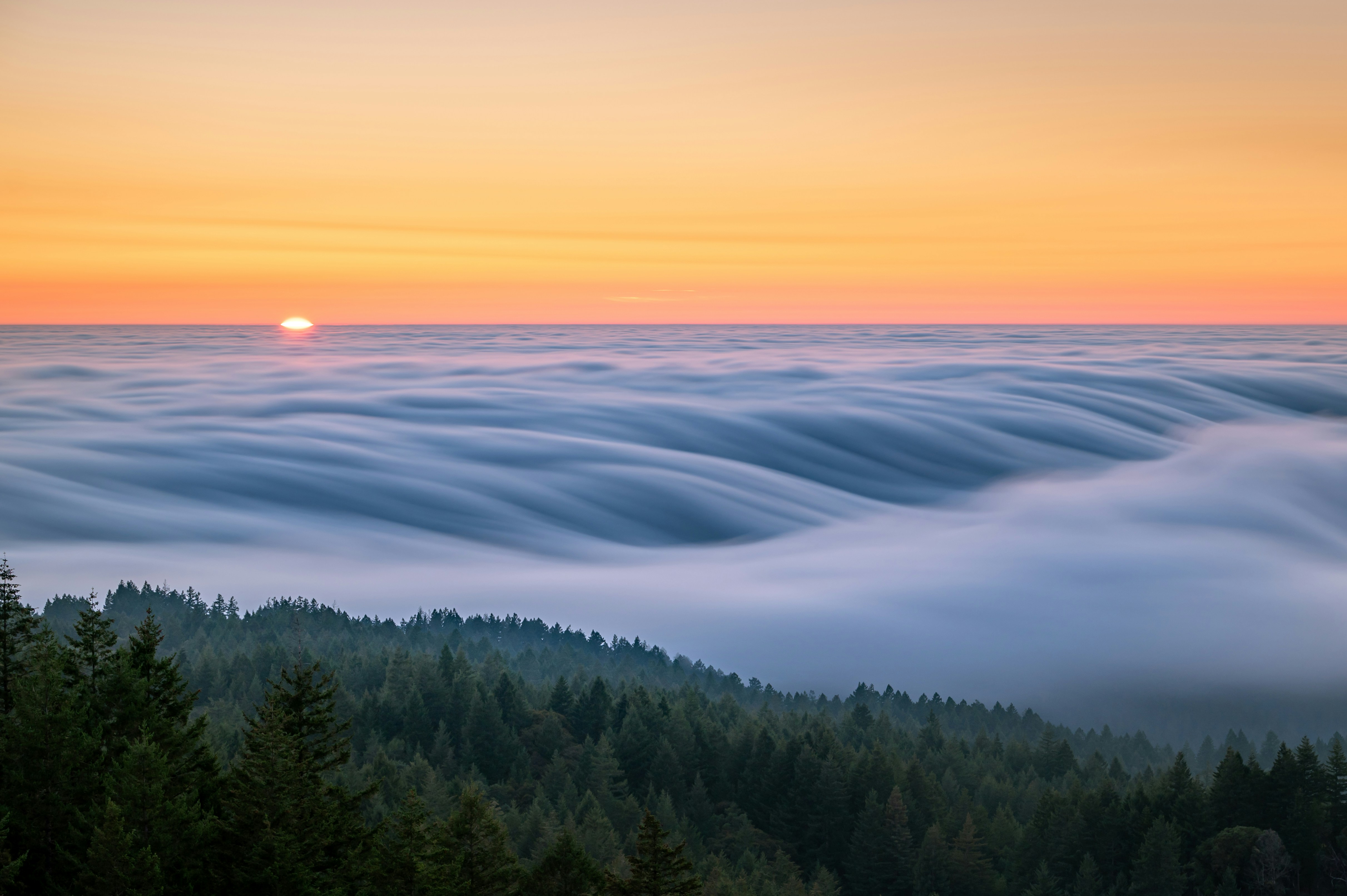 Sun rising above a vast layer of clouds with a forested landscape in the foreground.