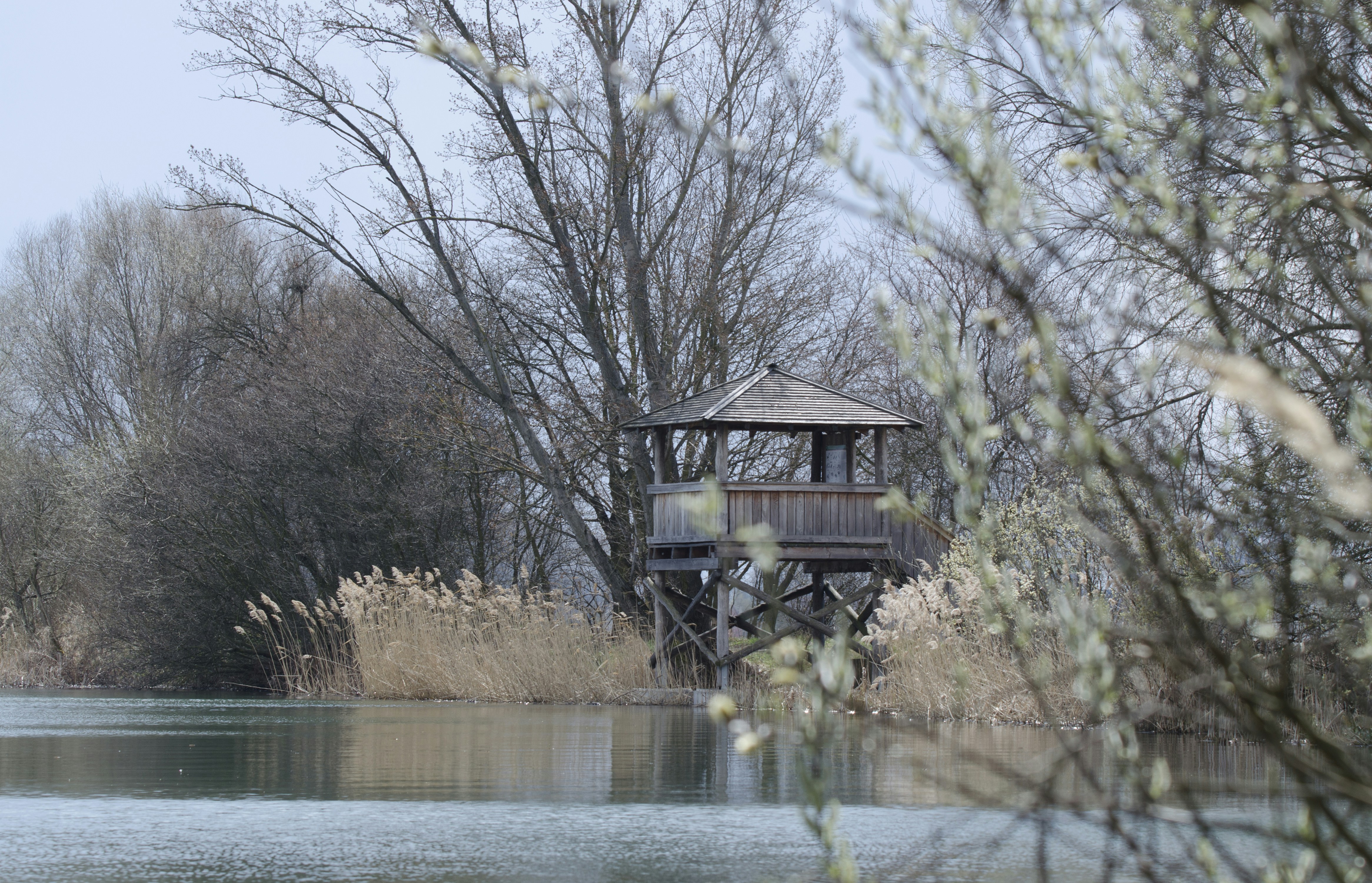 Observation Booth by the Quiet Pond