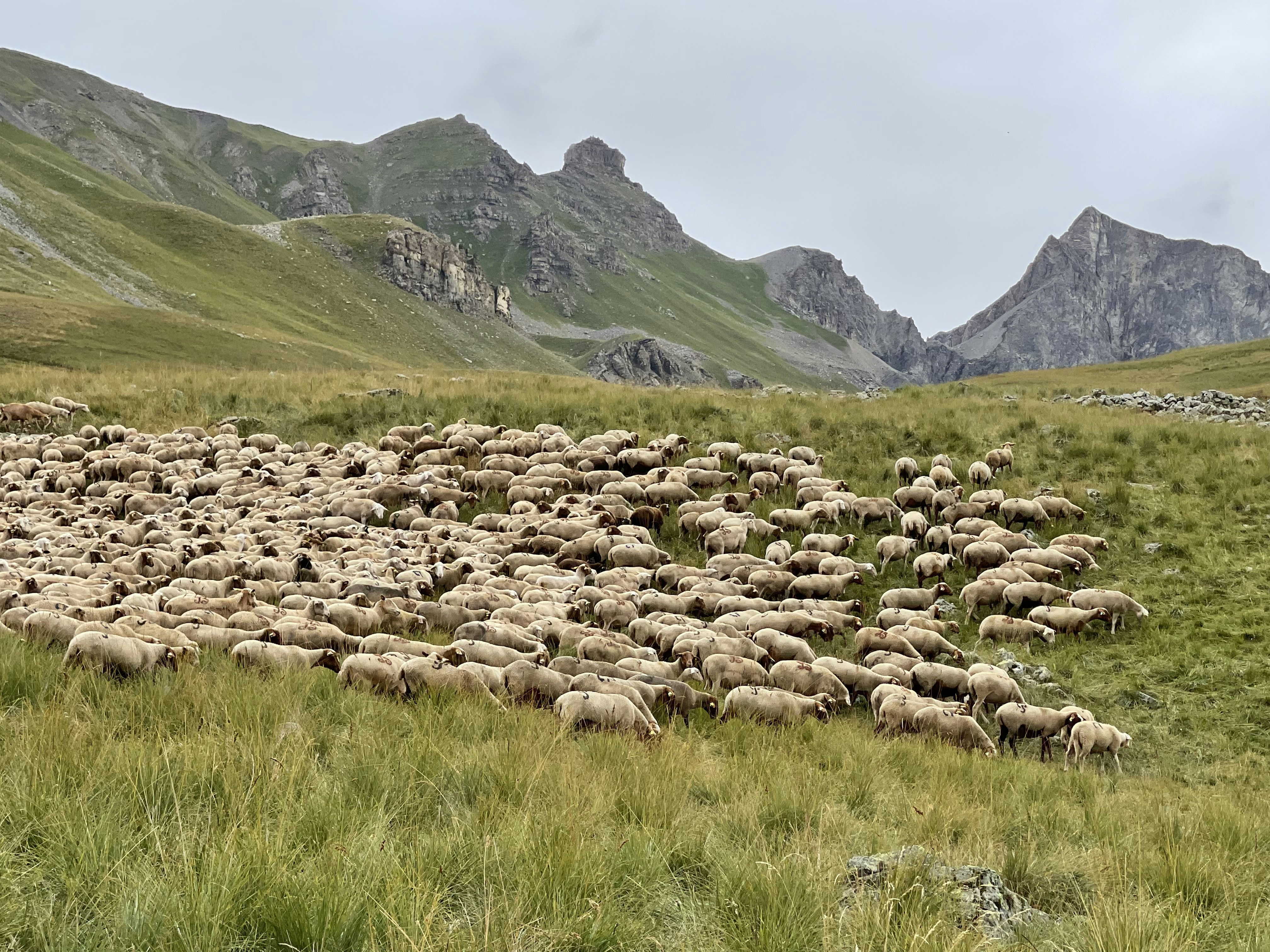 Green grass field near mountain during daytime photo – Free Col de la ...