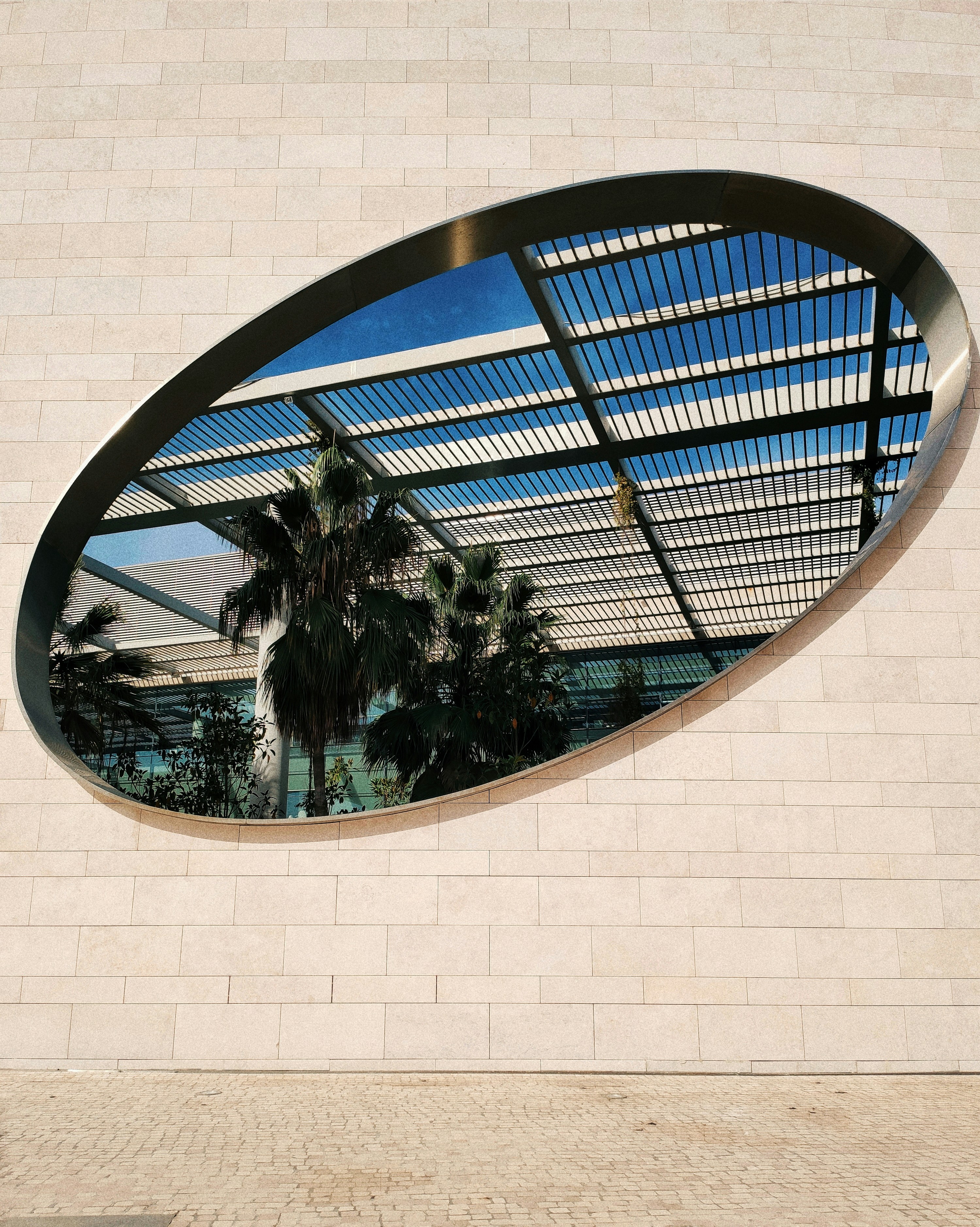 An oval window reflecting palm trees and a clear sky, framed by a modern architectural structure. The interplay of natural and man-made elements creates a harmonious visual experience.