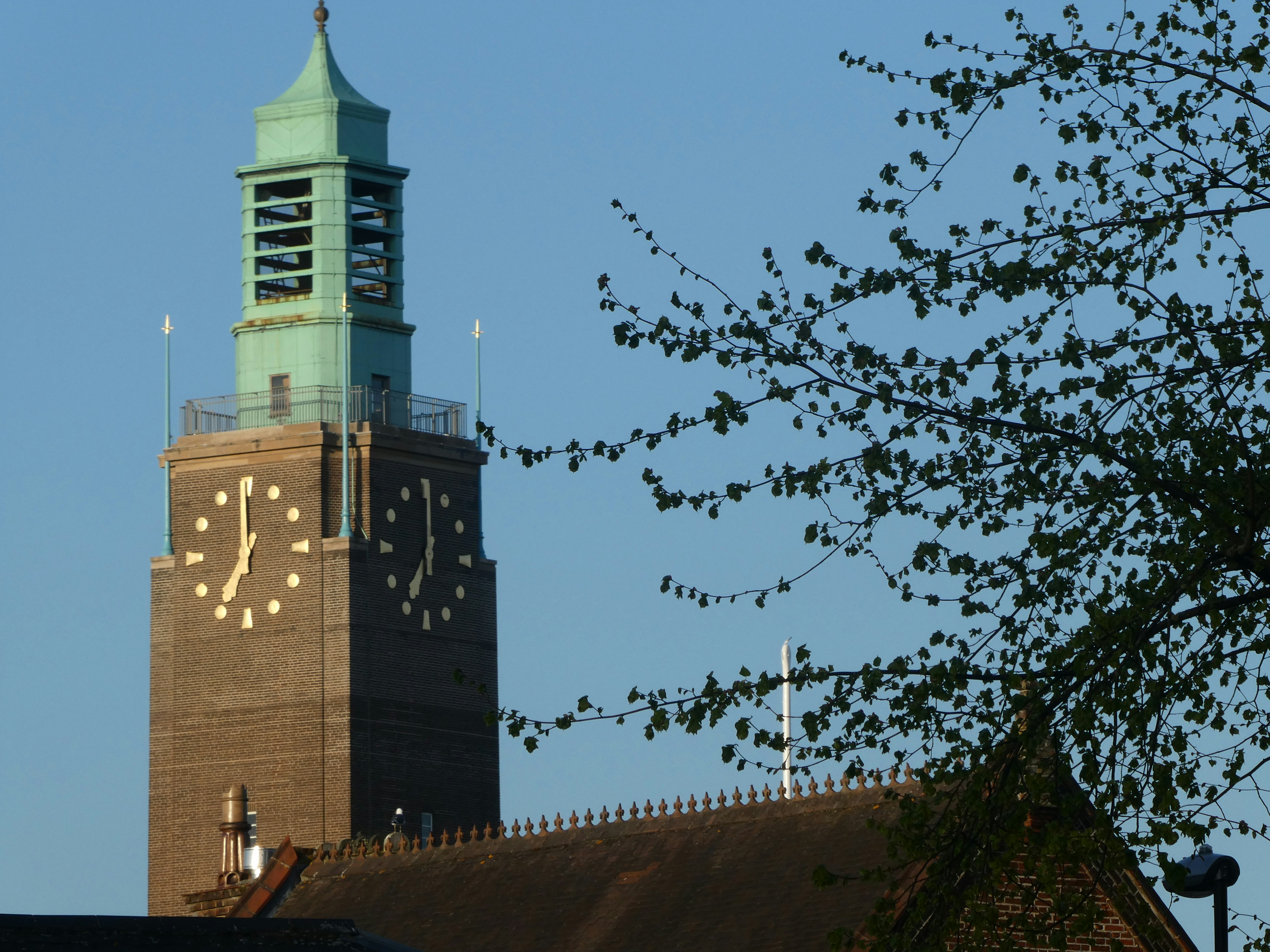 Historic clock tower with teal roof framed by delicate tree branches against a clear blue sky.