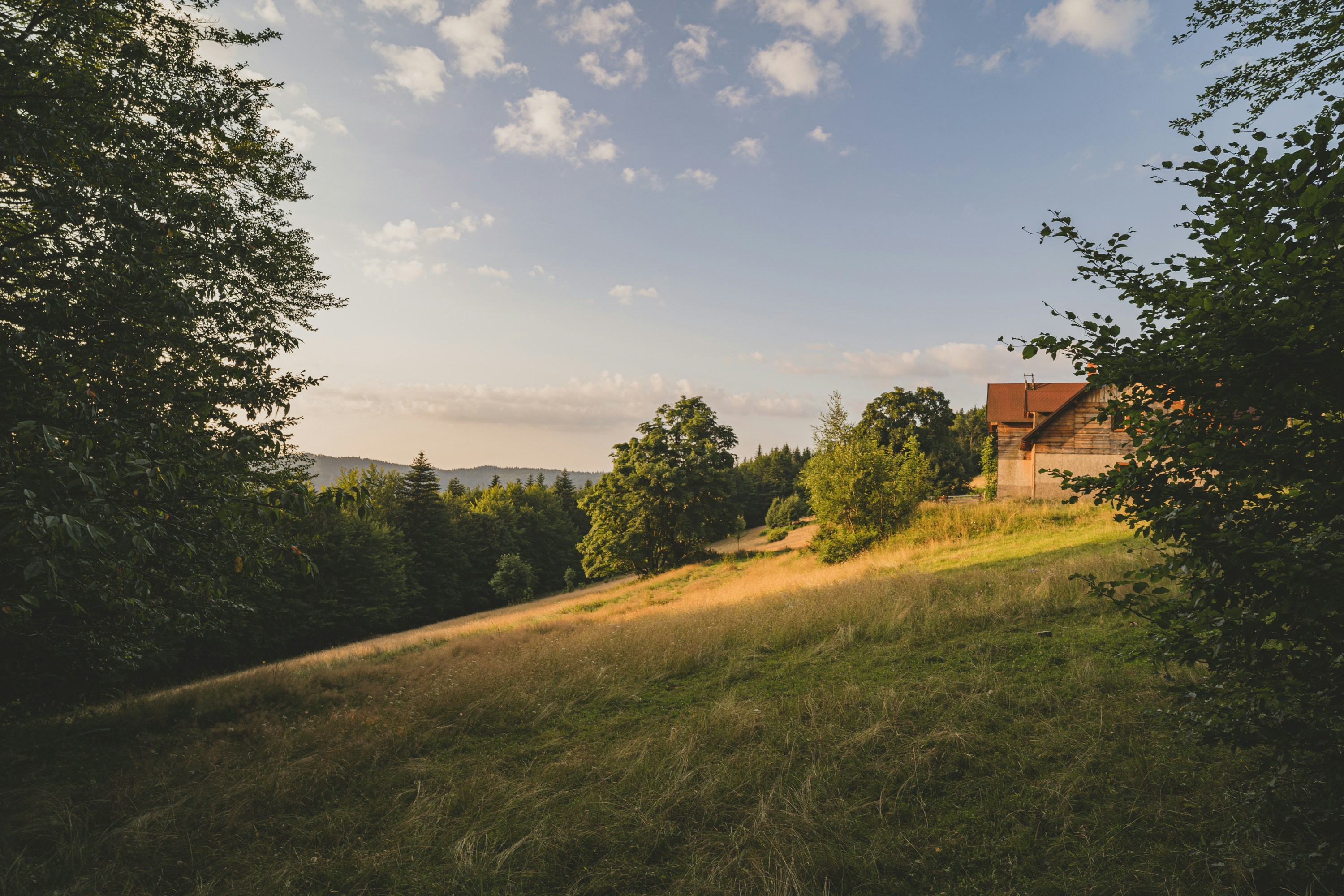 Brown house nestled in a lush green field under a blue sky, surrounded by trees at sunset.