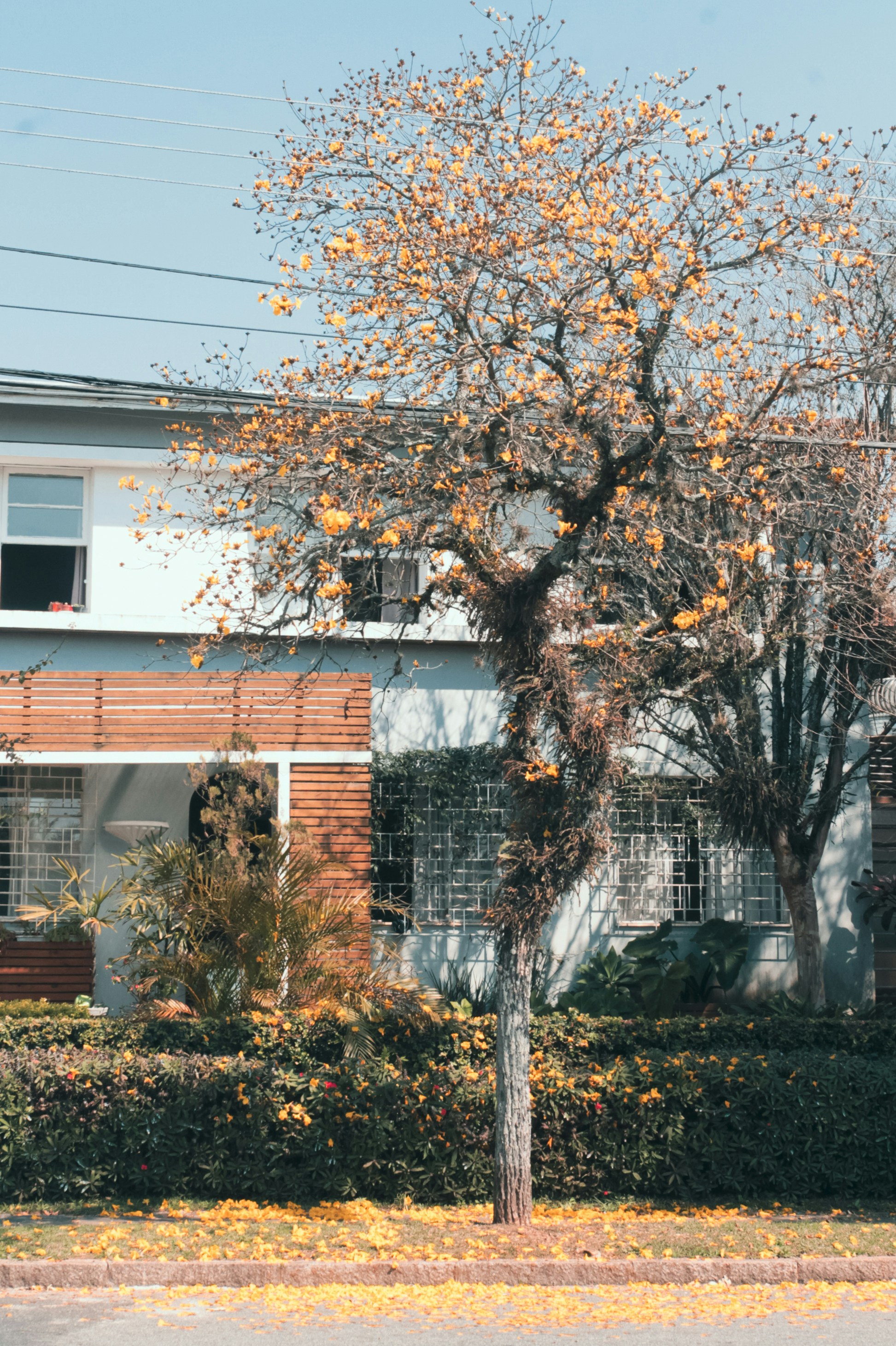 Imágenes de Cebando Mate | Descarga imágenes gratuitas en Unsplash