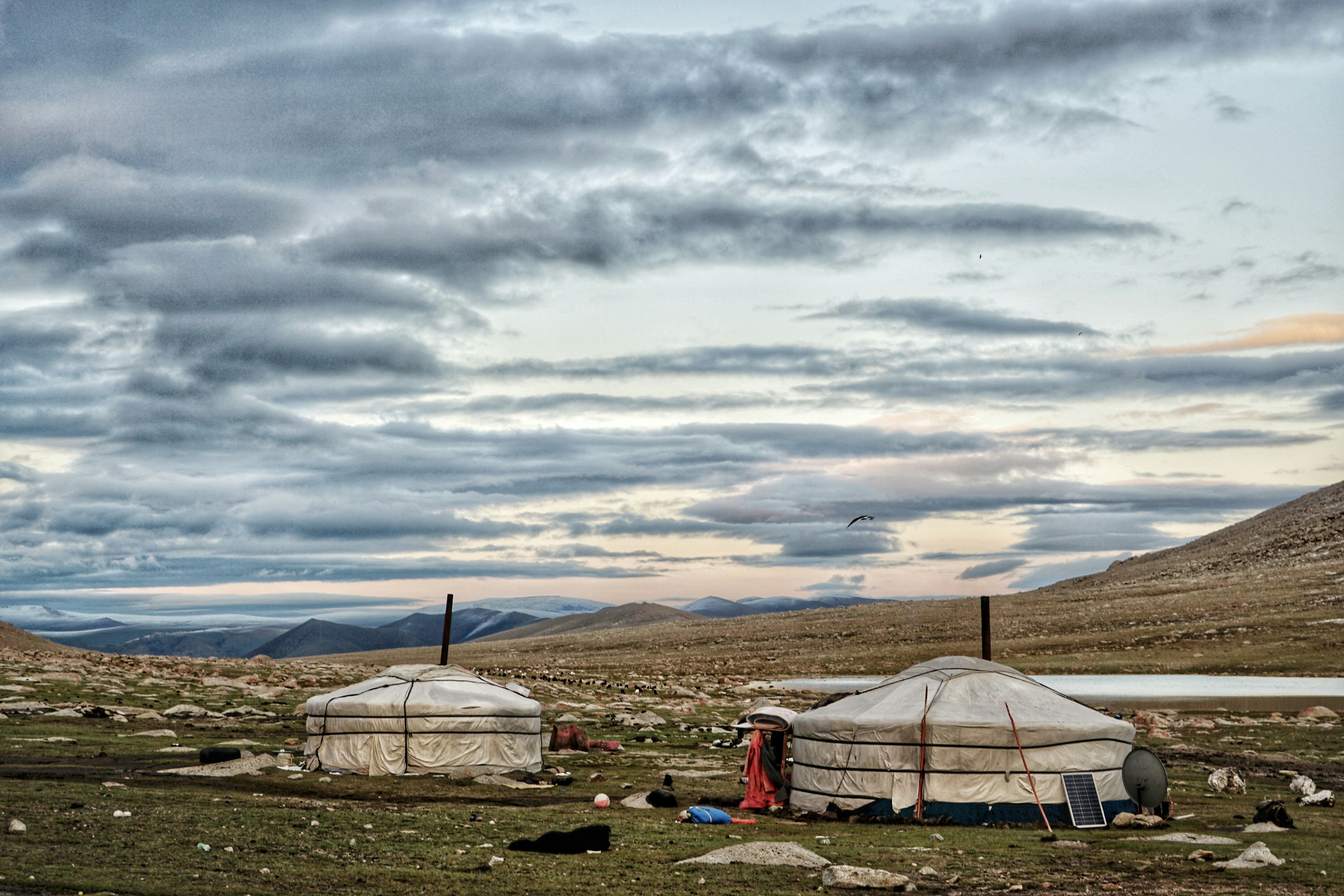 White tent on brown field under white clouds during daytime photo ...