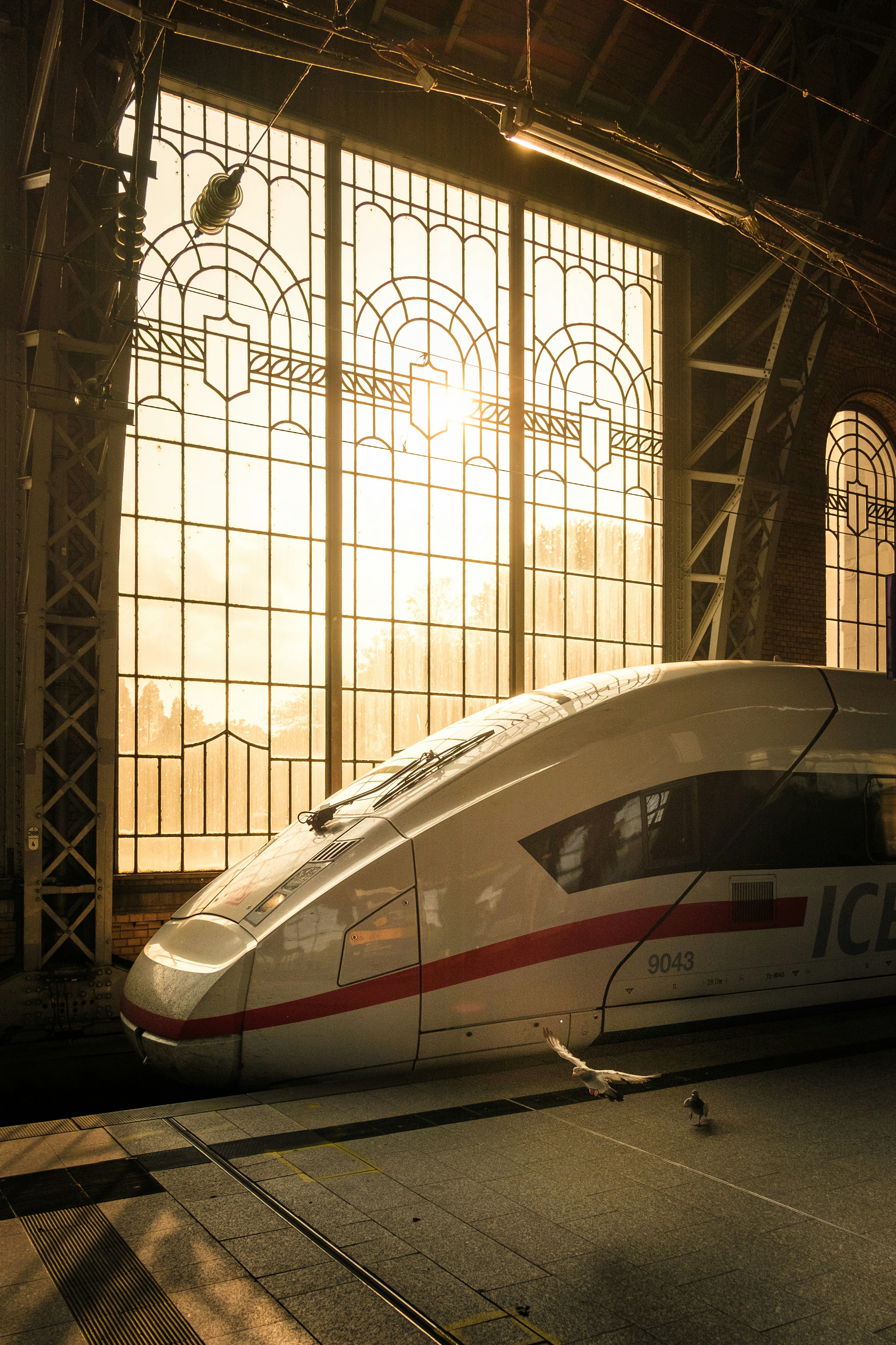 Ohayo Japan | US Stocks Tumble - Mark Chadwick