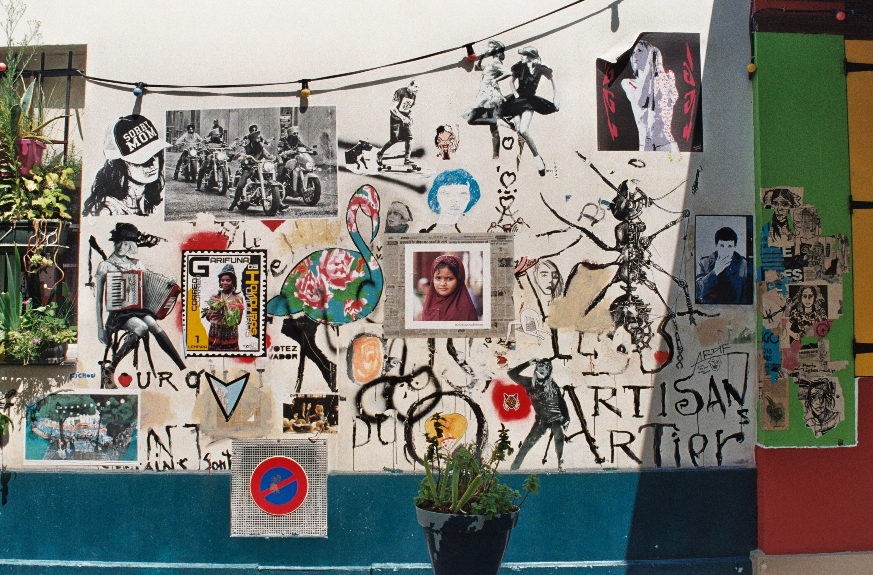 Diverse street art and posters on a wall above a potted plant on a blue table.