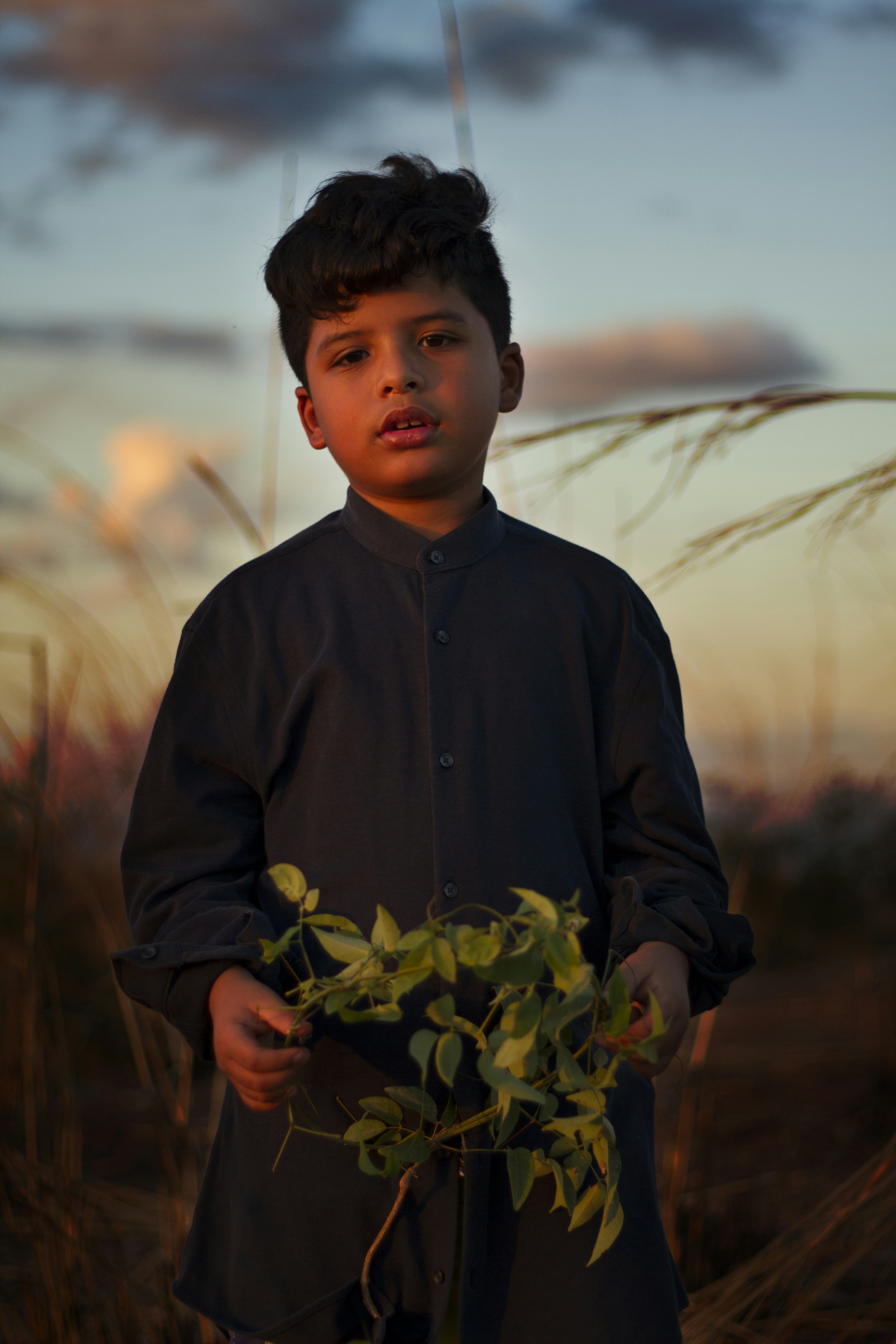 Dusk Quiet: A Boy in a Dark Kurta with Fresh Sprigs in a Field