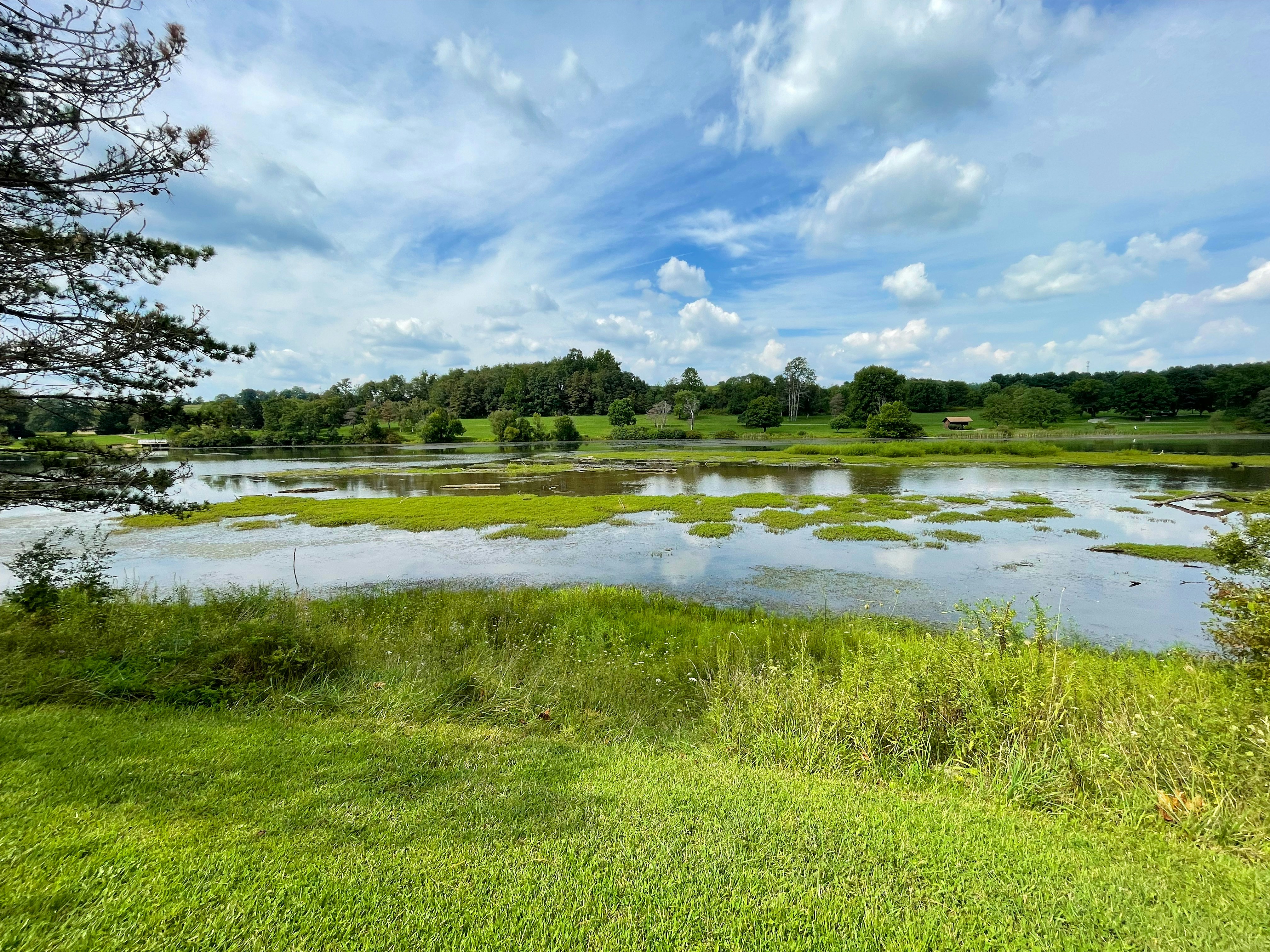 Green grass field near lake under blue sky during daytime photo – Free ...