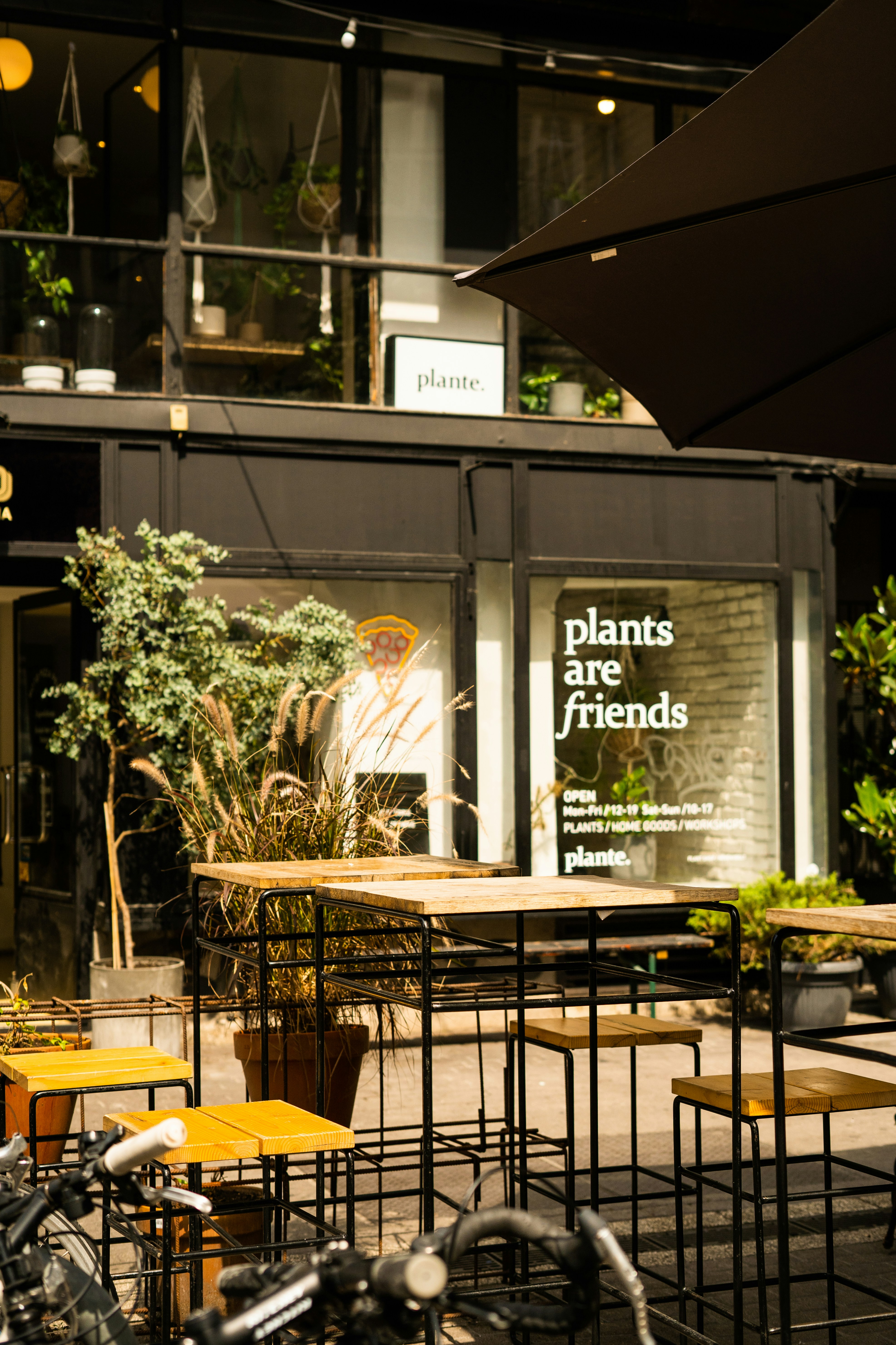 Plants Are Friends: a sunlit urban cafe scene framed by planters and a minimalist storefront